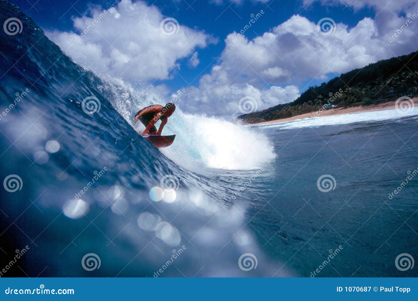 Surfer Surfing on the North Shore in Blue Hawaii Stock Image - Image of ...