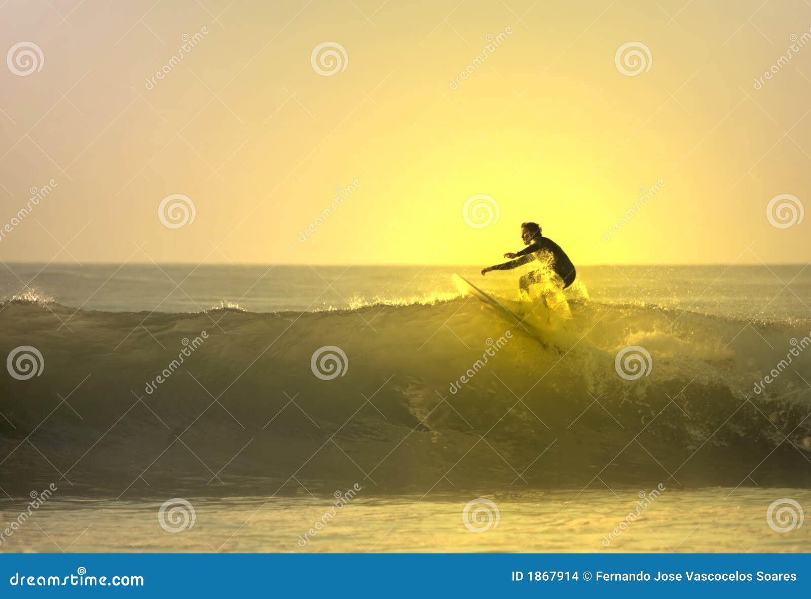 Surfer on the Top of the Wave Stock Photo - Image of break, holiday ...