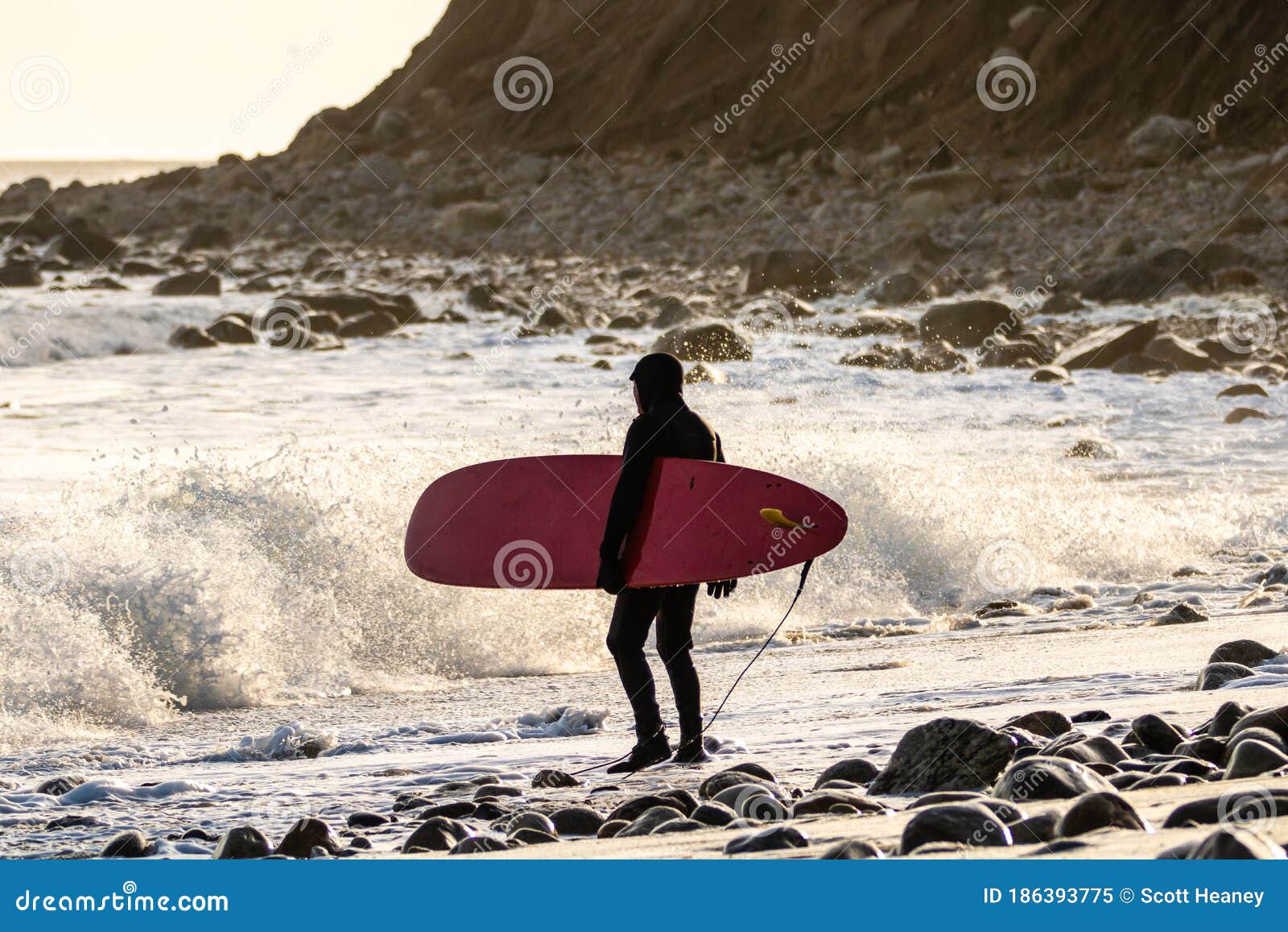 Surfer Watching Waves Crashing on a Rocky Shore Editorial Image - Image ...