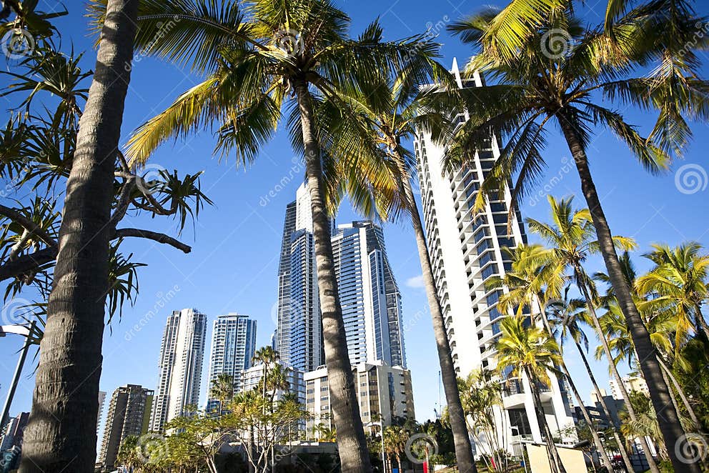 Surfers Paradise stock photo. Image of buildings, nature - 12497698