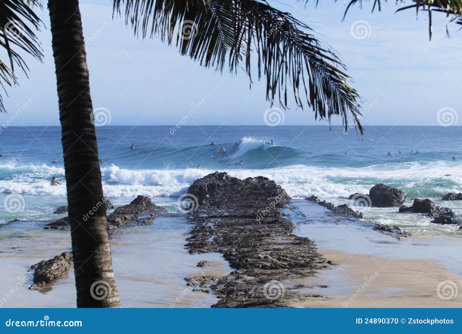 Surfers at Snapper Rocks stock photo. Image of athlete - 24890370