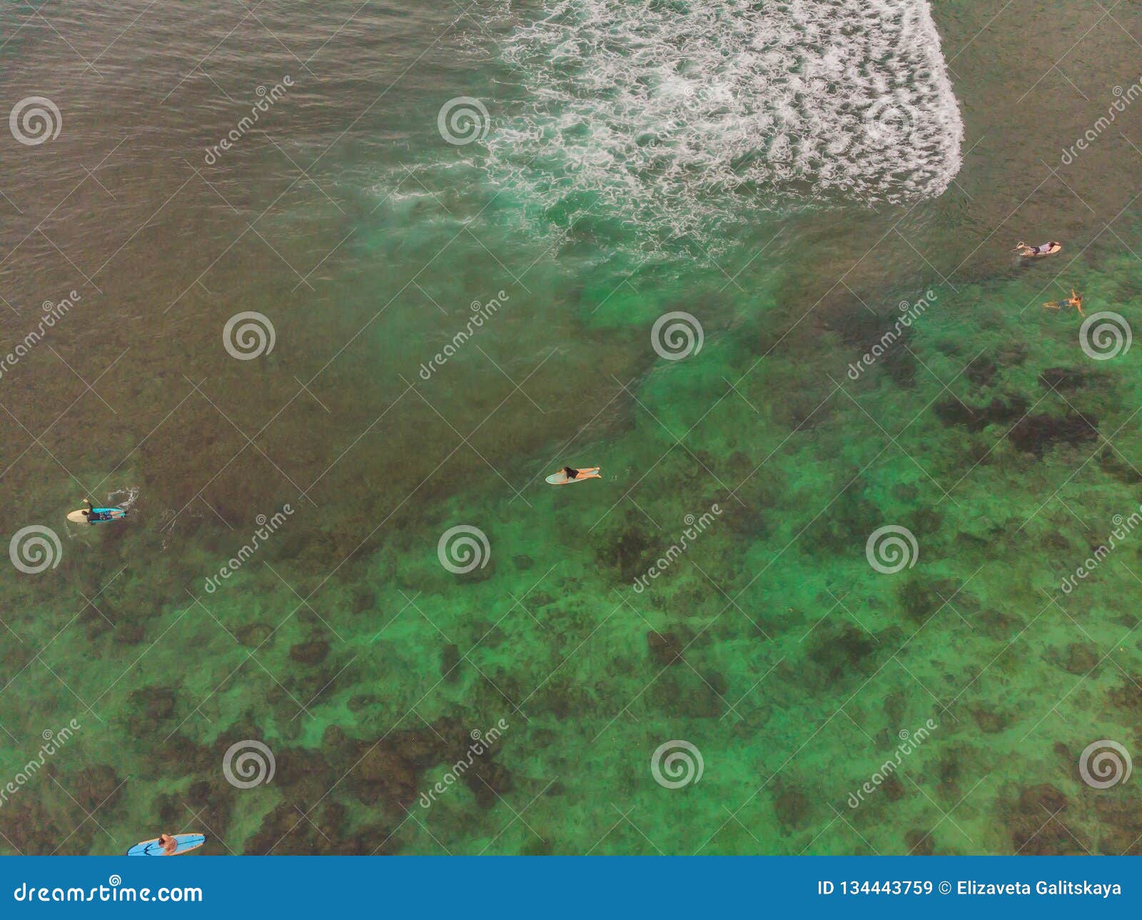 Surfers on the Waves in the Ocean, Top View Stock Image - Image of ...