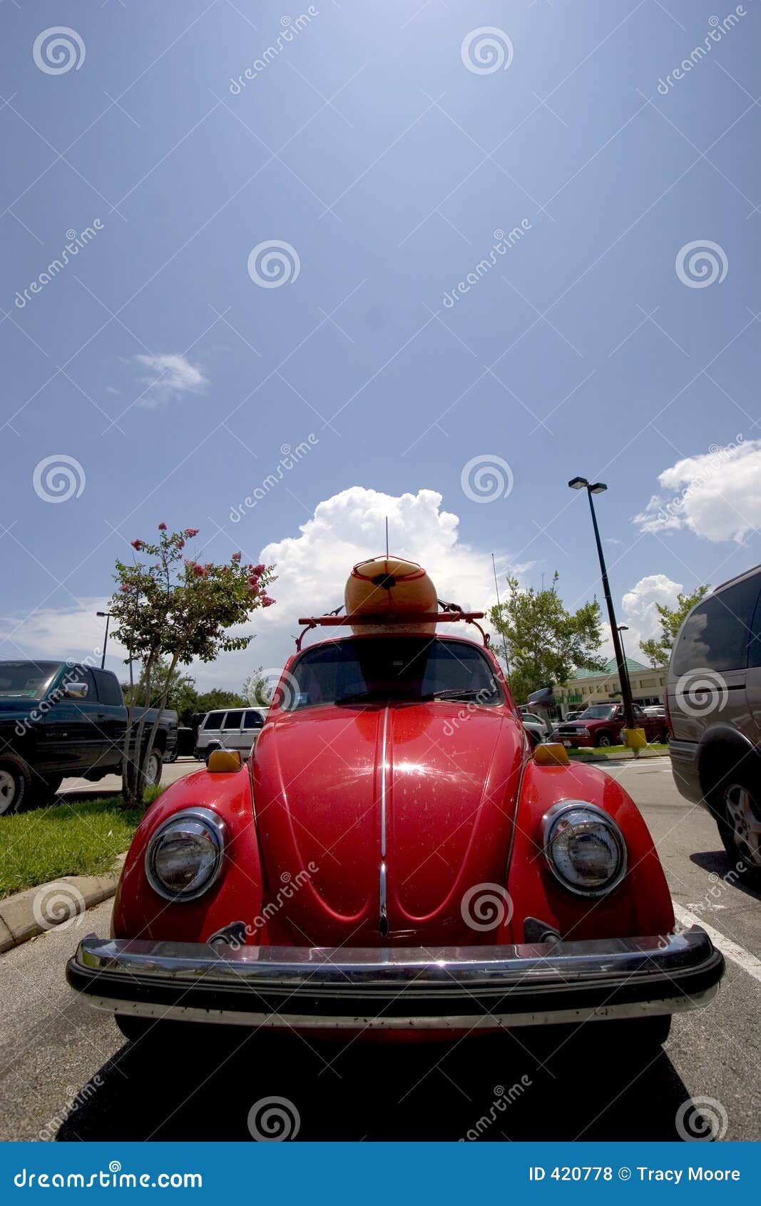 Bug Surf Photos - Free & Royalty-Free Stock Photos from Dreamstime