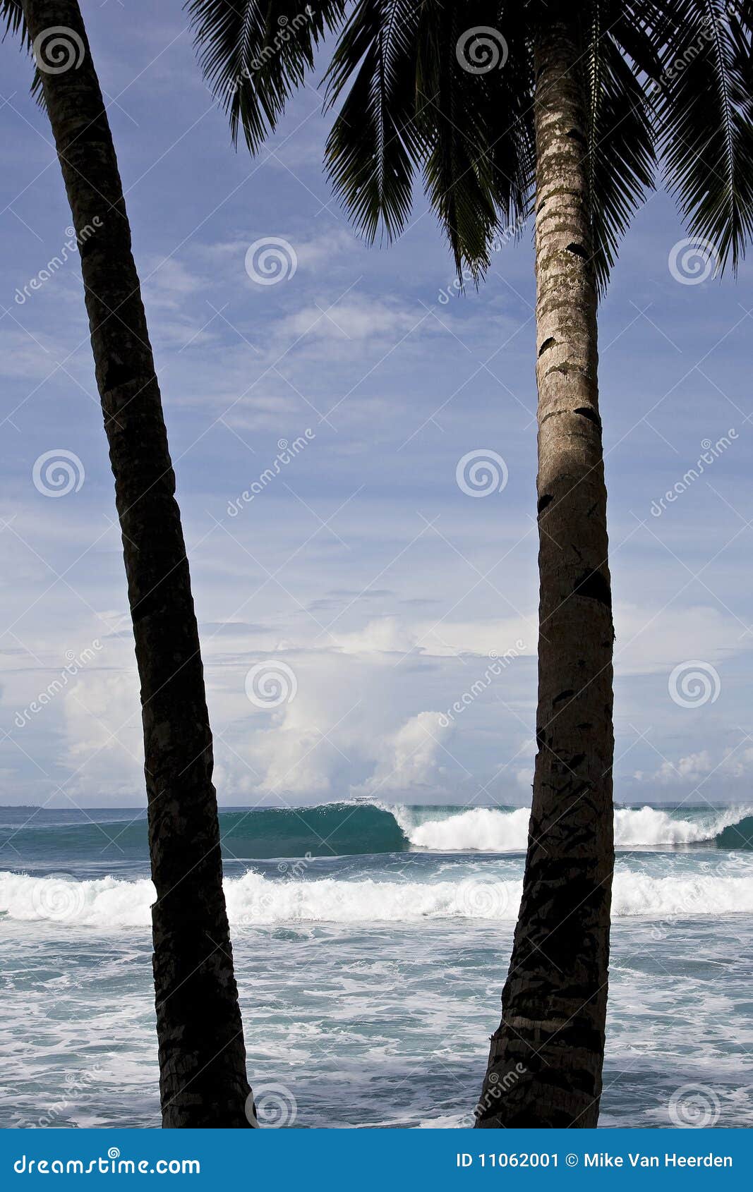 Surfing Paradise stock image. Image of tropical, beach - 11062001