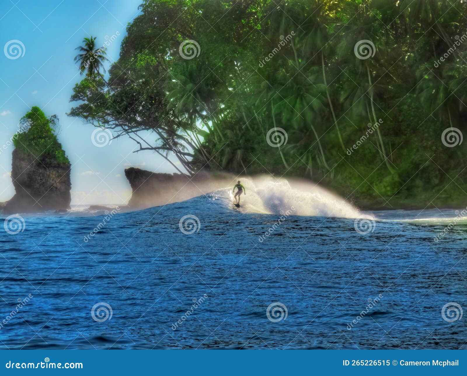 Surfing Riding a Tropical Wave Stock Image - Image of ocean, paradise ...