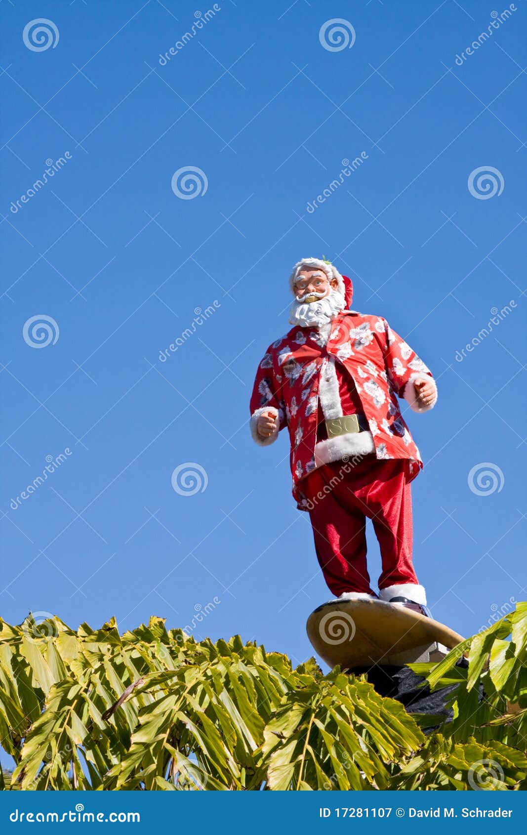 Surfing Santa stock image. Image of surfing, trees, space - 17281107