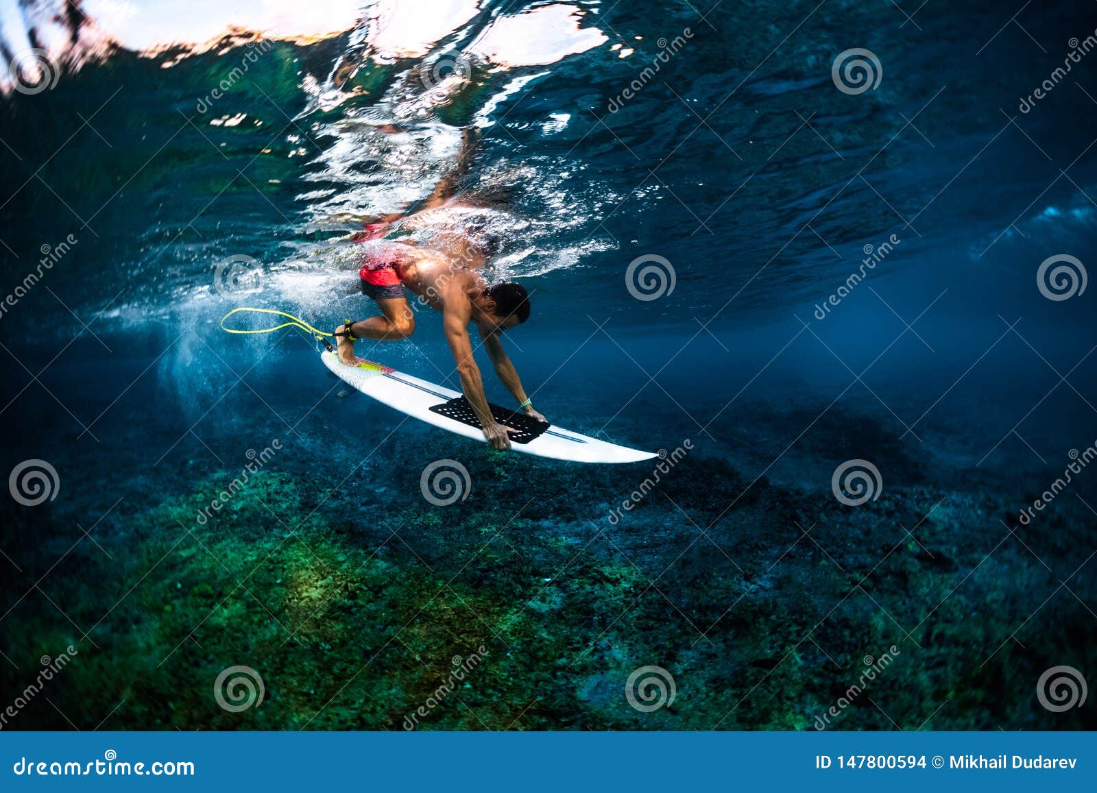 Surfing stock photo. Image of shallow, powerful, tropical - 147800594