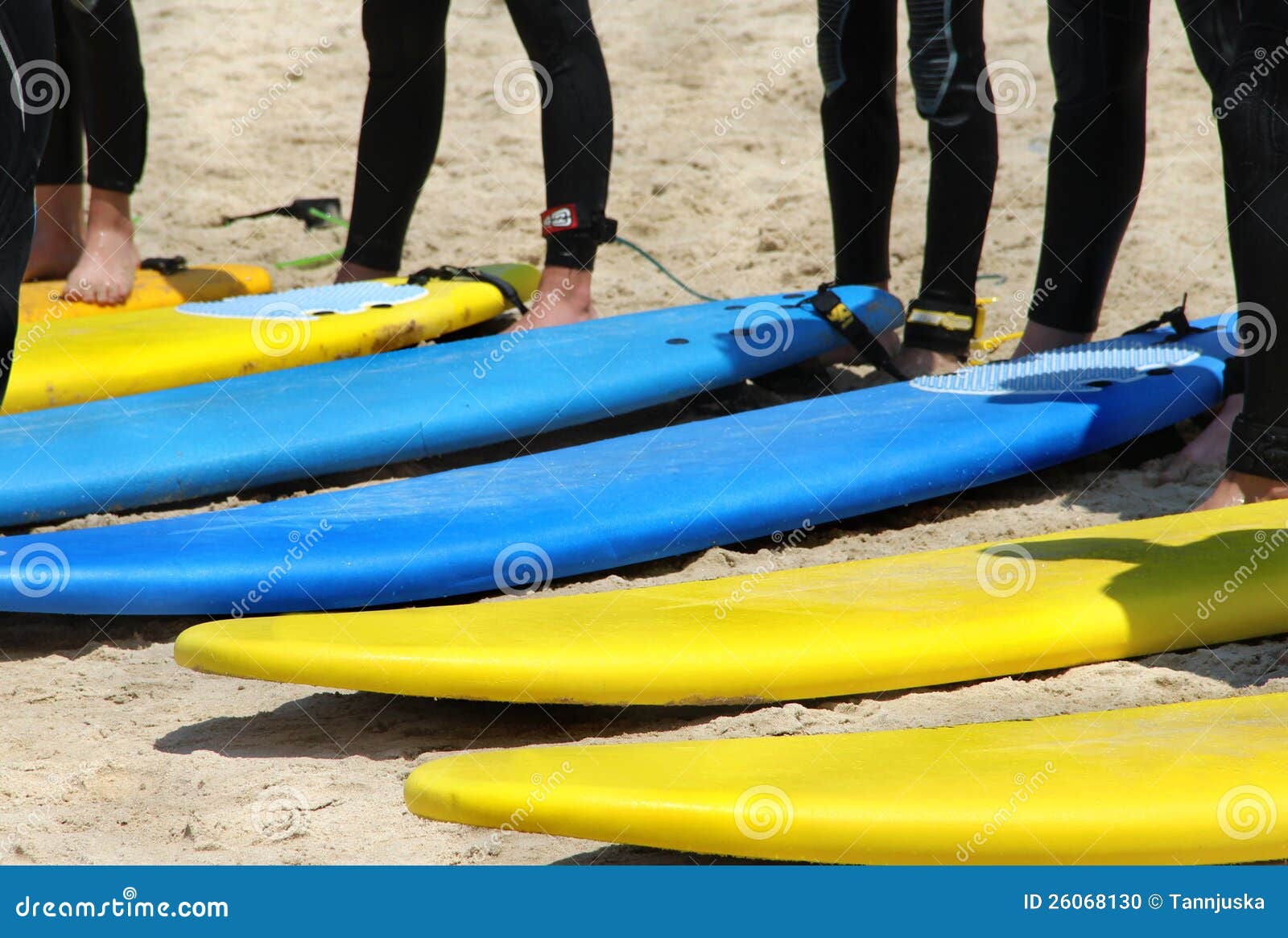 Surfing team on the beach stock photo. Image of suit - 26068130