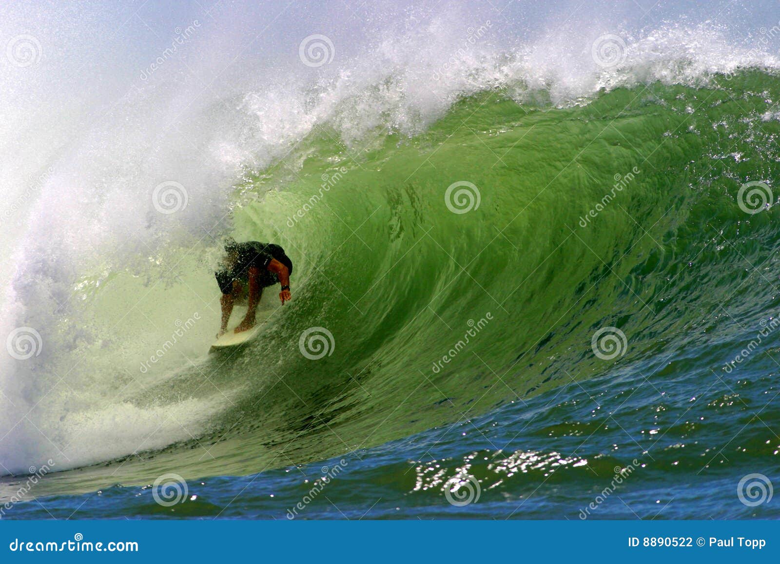 Surfing the Tube of a Wave stock photo. Image of athletes - 8890522