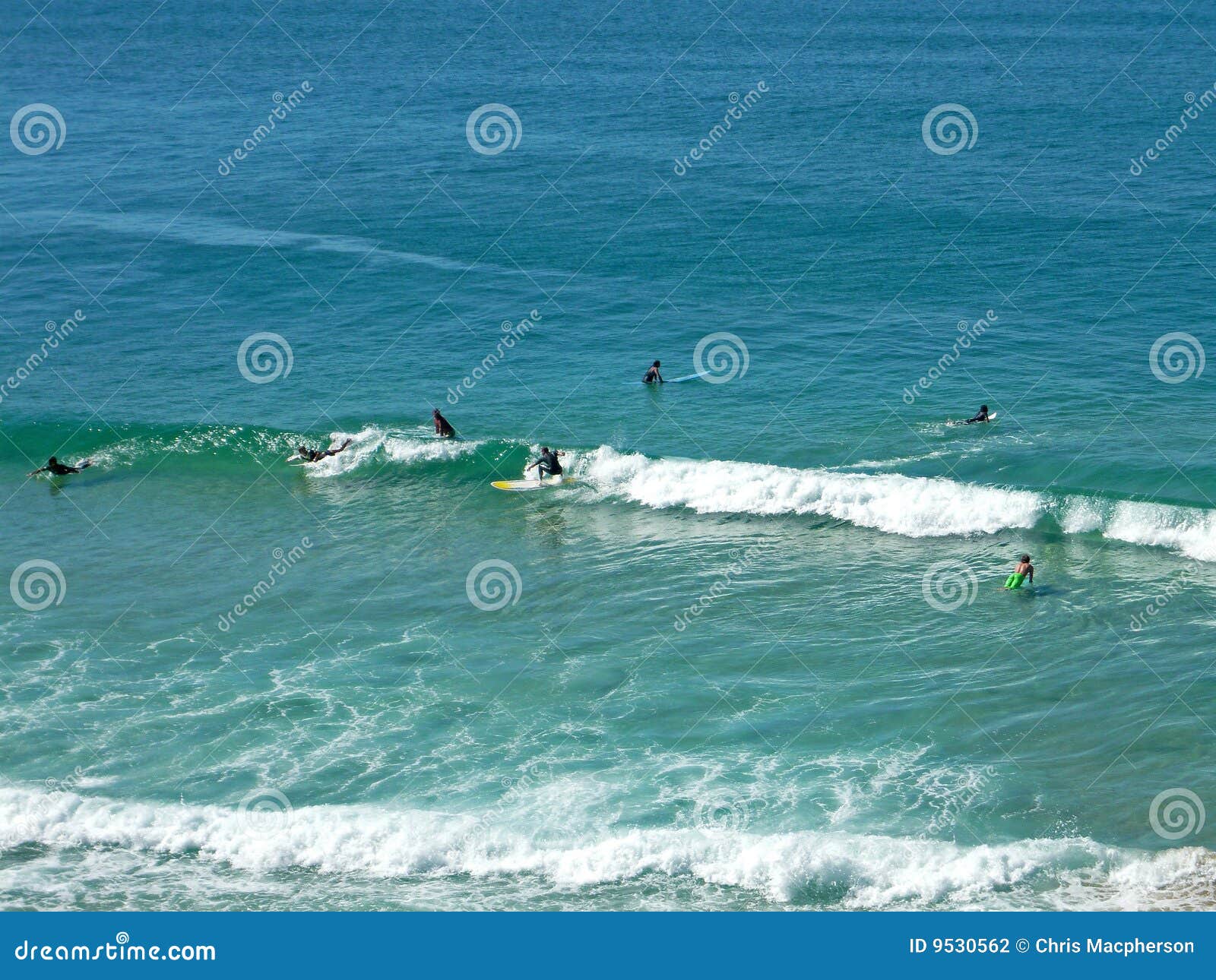 Surfing the Wave stock photo. Image of surf, surfboard - 9530562
