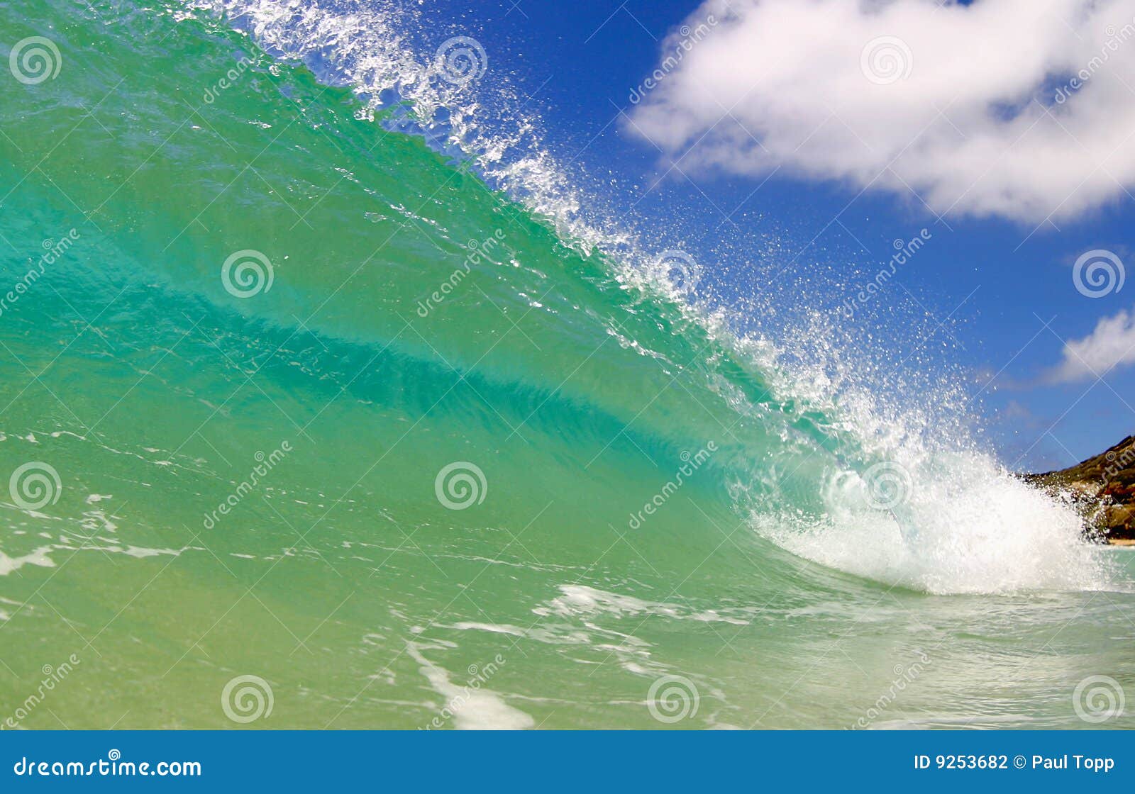 Surfing Wave in the Pacific Ocean on a Sunny Day Stock Photo - Image of ...