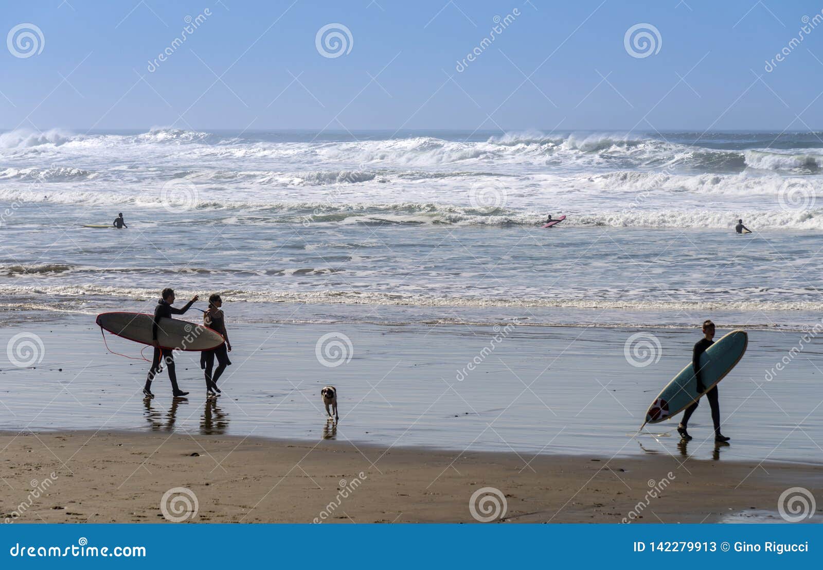 Surfing the Waves on the Oregon Coast Editorial Stock Photo - Image of ...