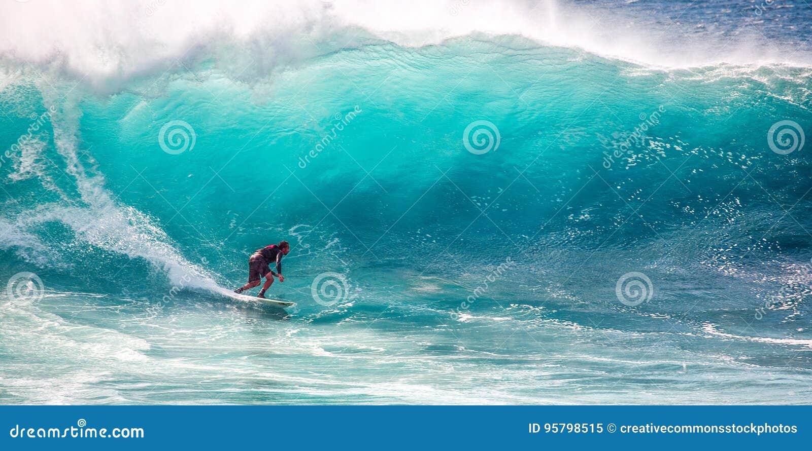 Surfista Immagine. Immagine: 95798515