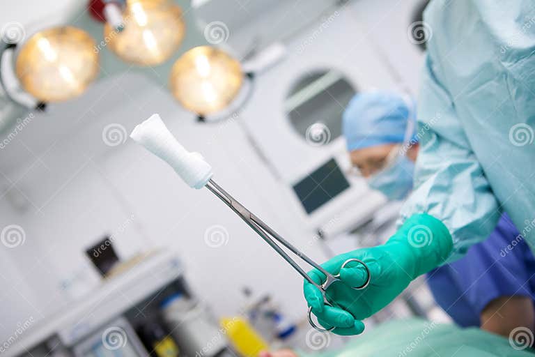 Surgeon Holding Swab during Operation Stock Photo - Image of health ...