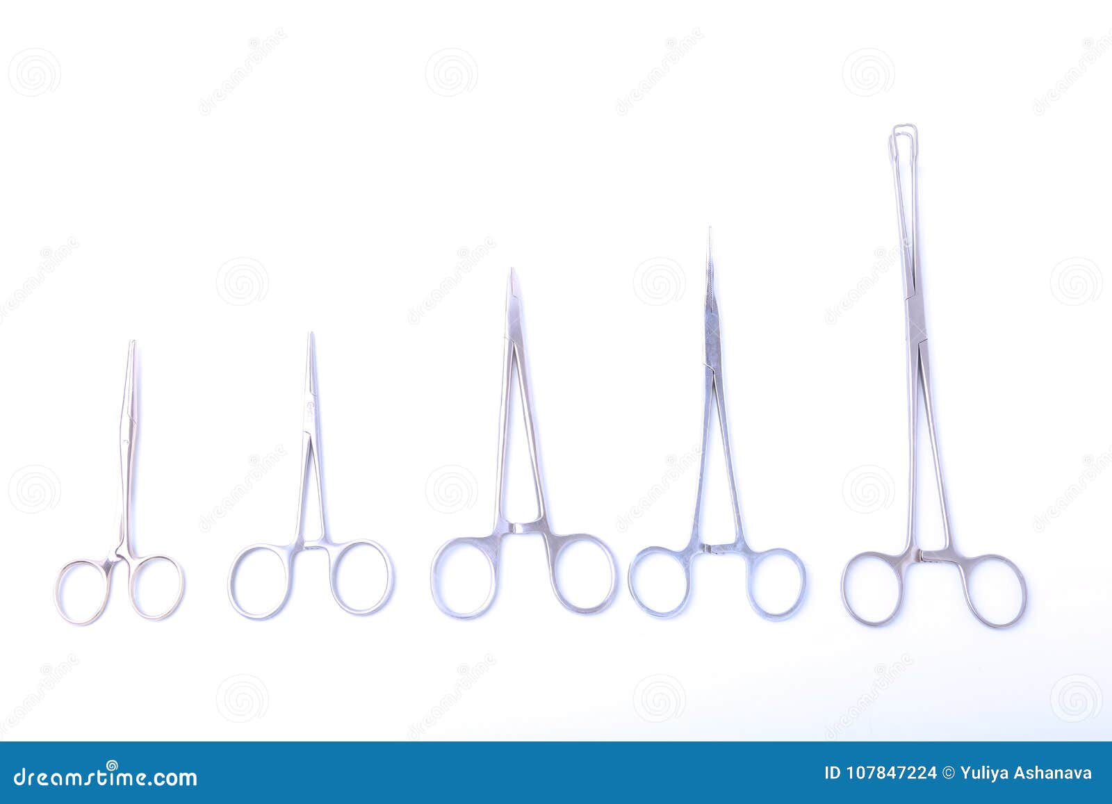 Surgeon Tools - Scissors for Surgery - Isolated on White Background ...