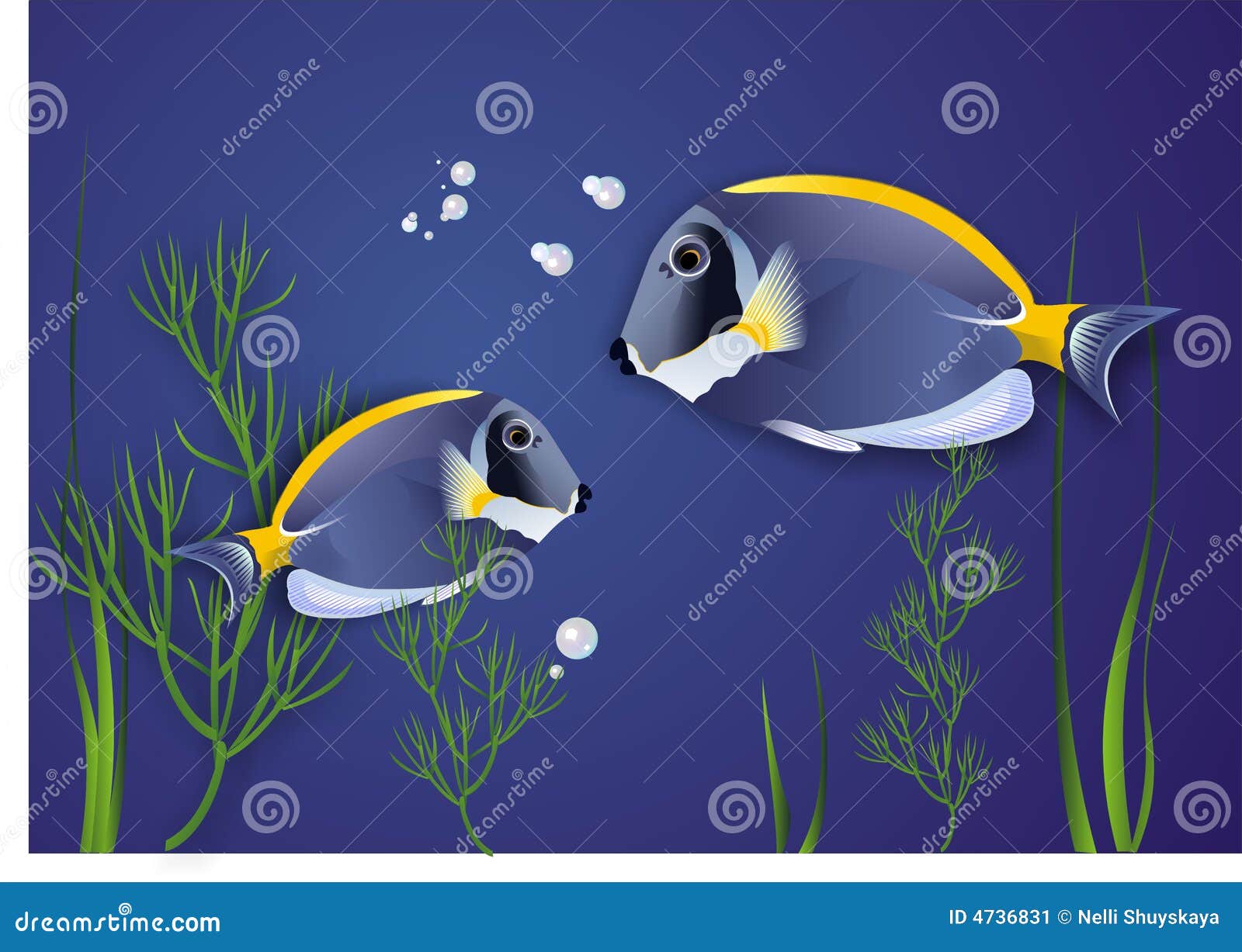 Surgeonfish Cartoons, Illustrations & Vector Stock Images - 1095 ...