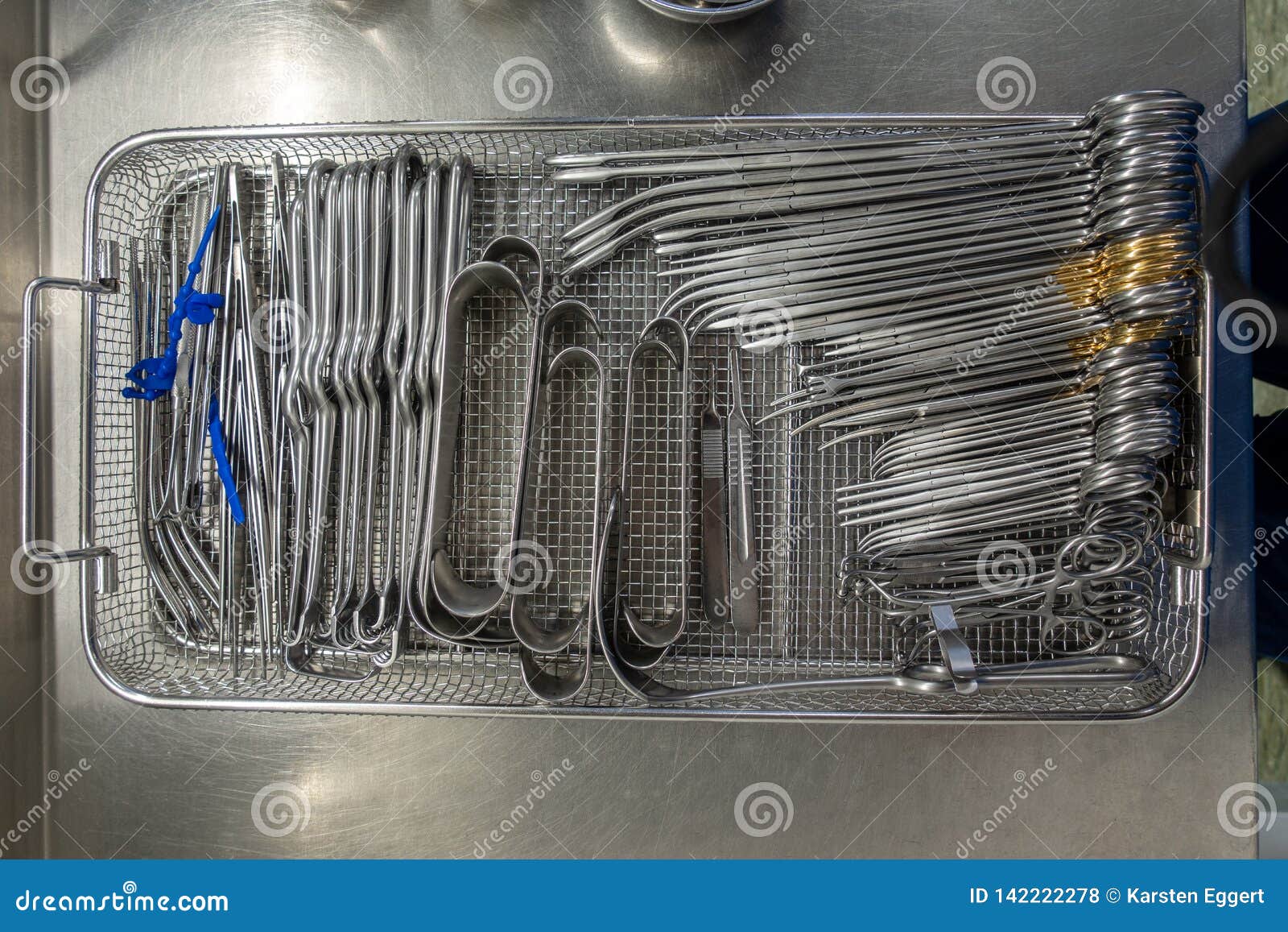 Surgery Instruments in a Tray Stock Photo - Image of glove, animal ...