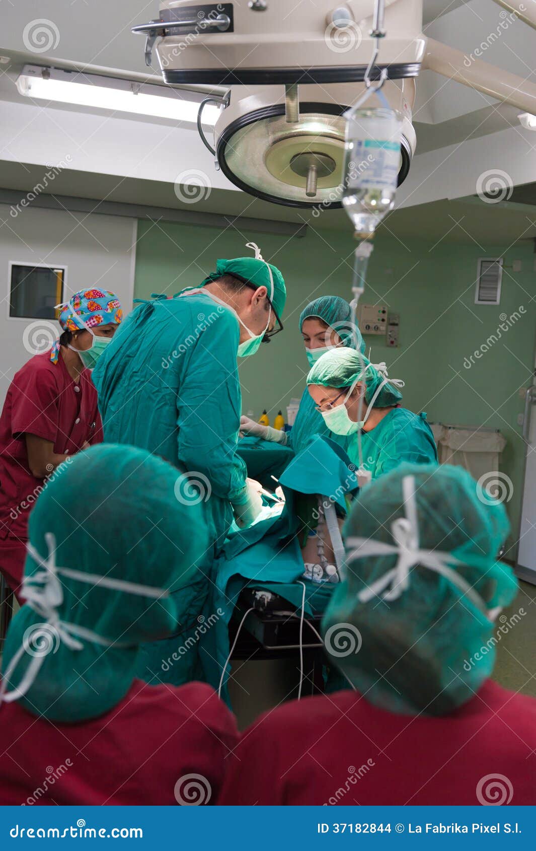 Surgery scene 10 stock photo. Image of patient, blood - 37182844