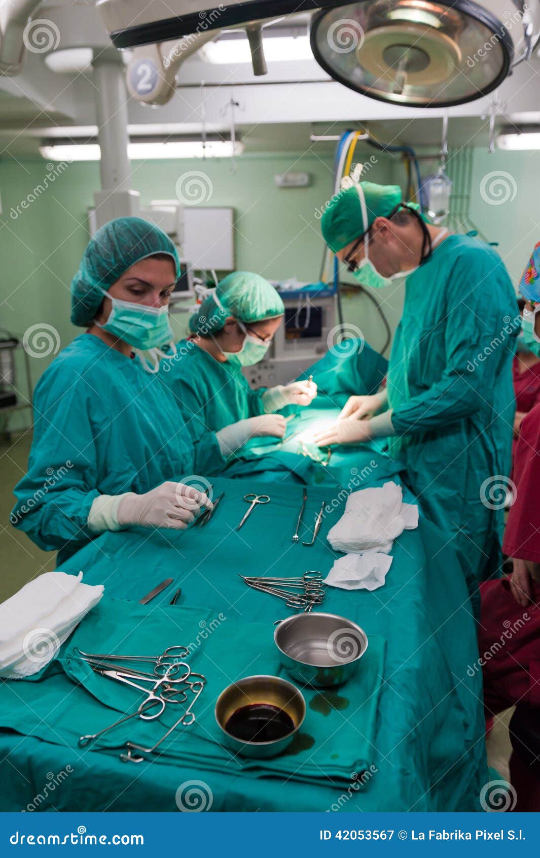 Surgery scene 15 stock image. Image of sterile, stained - 42053567