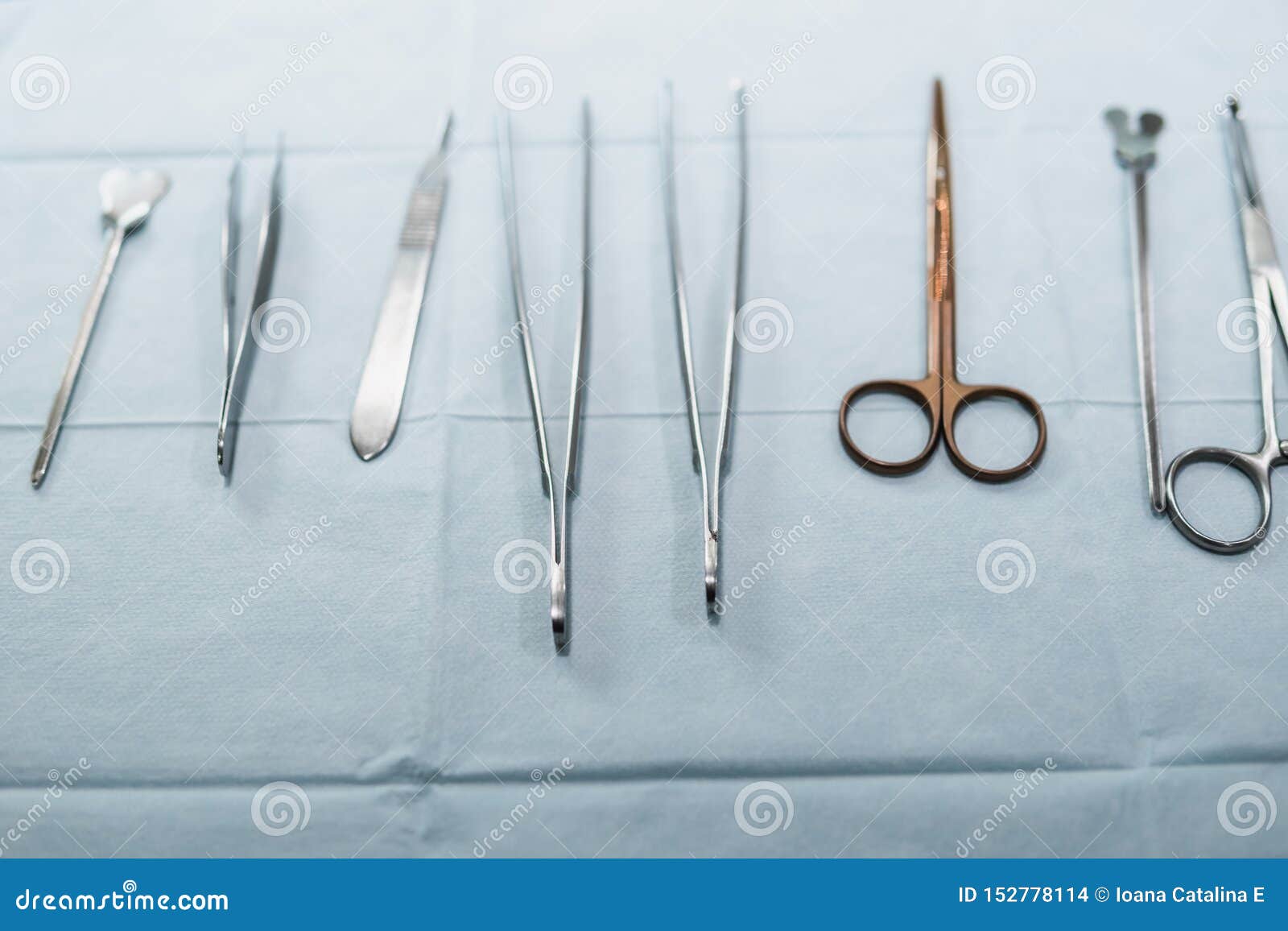 Surgery tools stock photo. Image of hospital, animal - 152778114