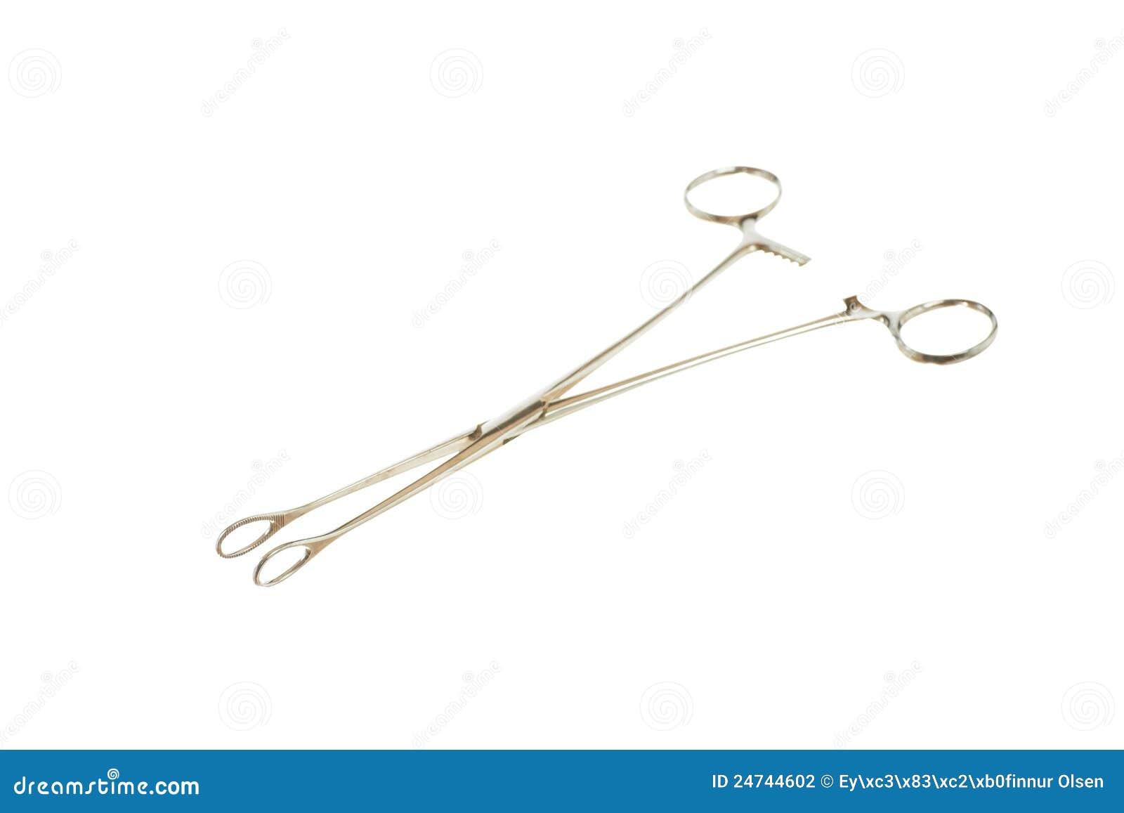 Surgical Instrument - Foerster Sponge Forceps Stock Photo - Image of ...