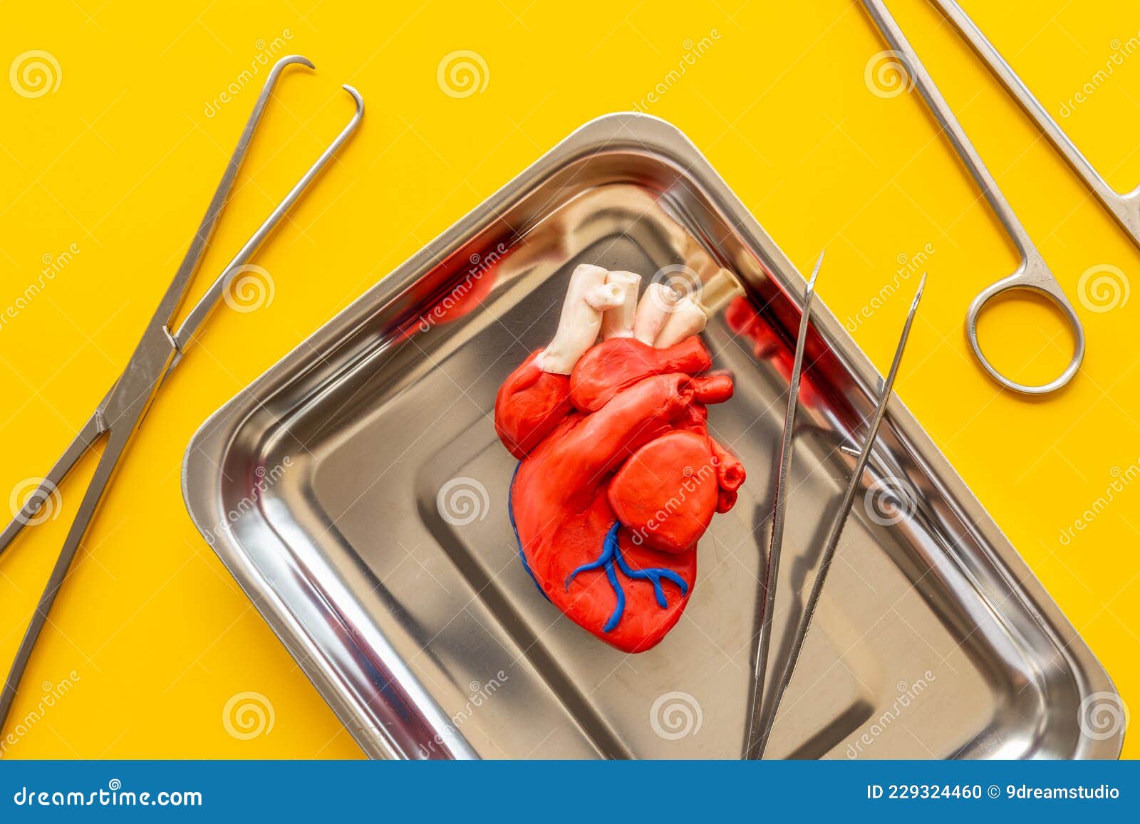 Surgical Instruments and Heart Model. Heart Surgery Concept Stock Photo ...
