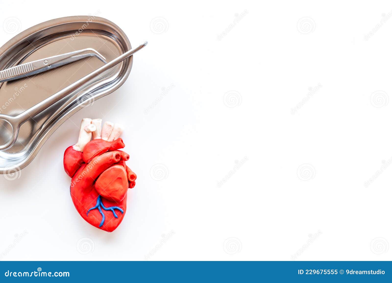Surgical Instruments and Heart Model. Heart Surgery Concept Stock Image ...