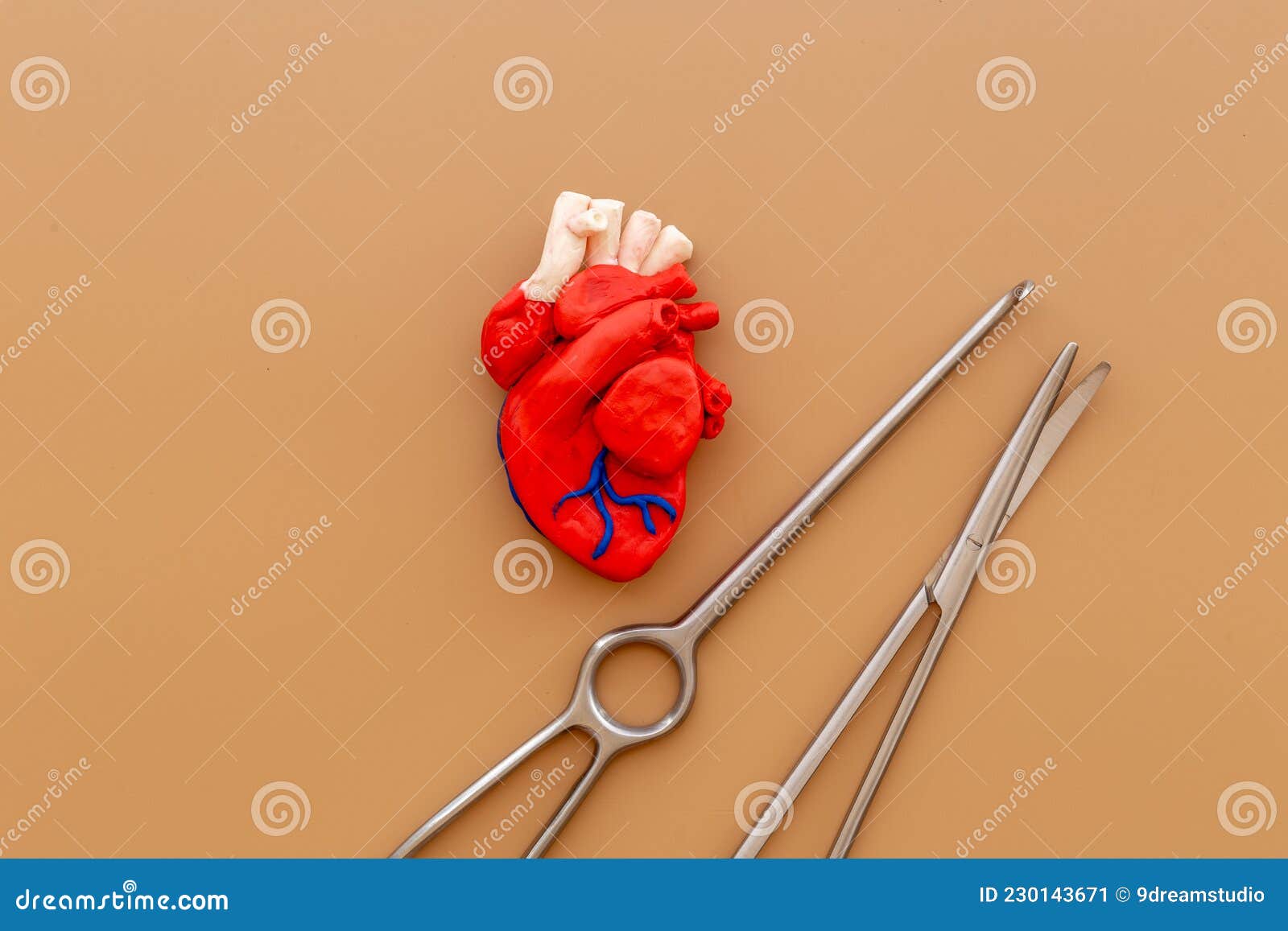 Surgical Instruments and Heart Model. Heart Surgery Concept Stock Image ...