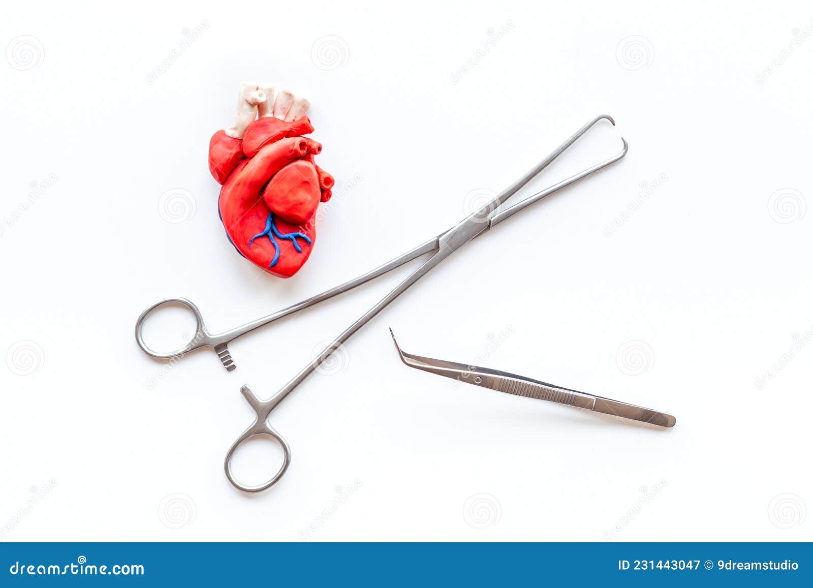 Surgical Instruments and Heart Model. Heart Surgery Concept Stock Image ...