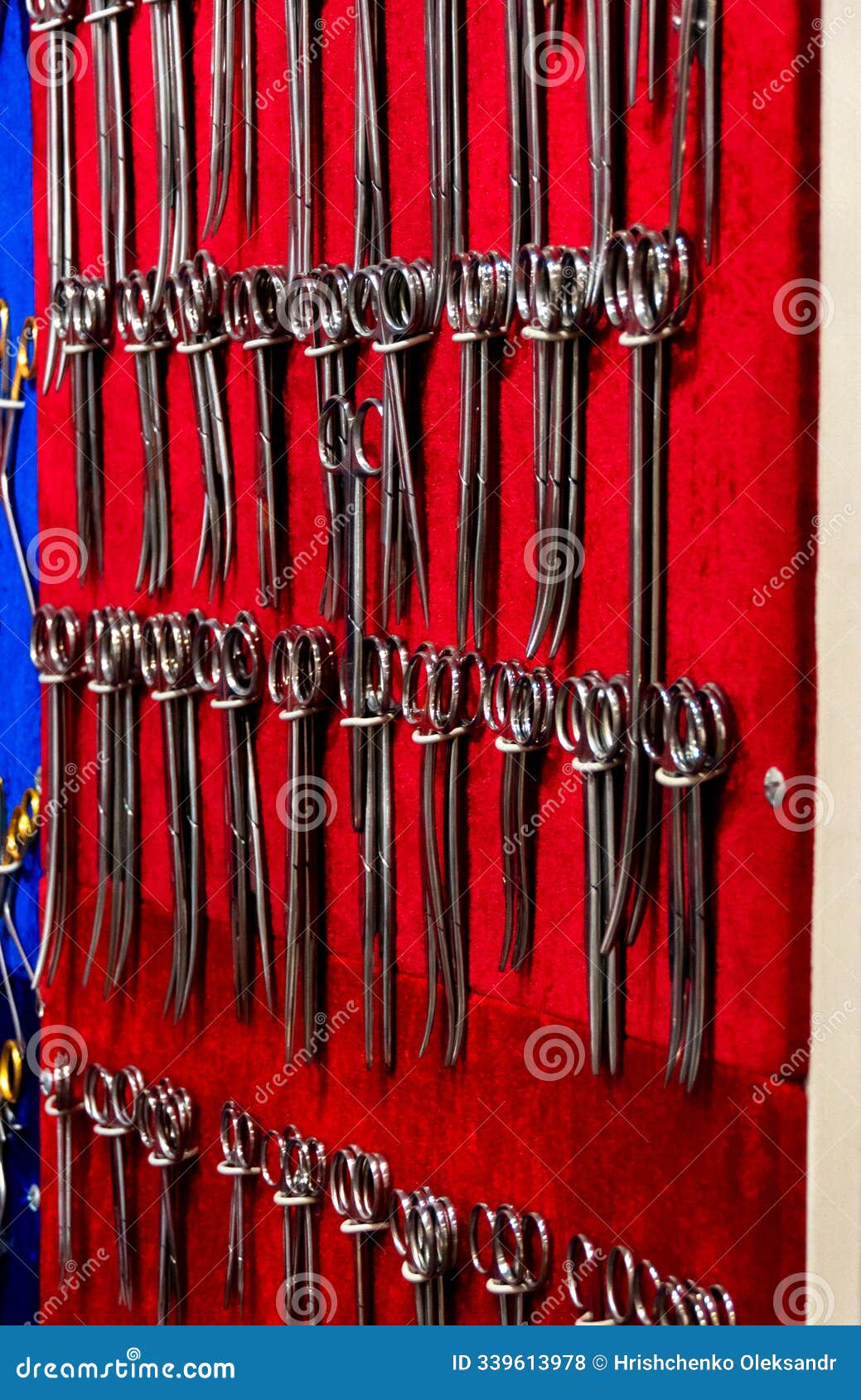 Surgical Instruments, Medical Scissors and Various Types of Clamps Hang ...