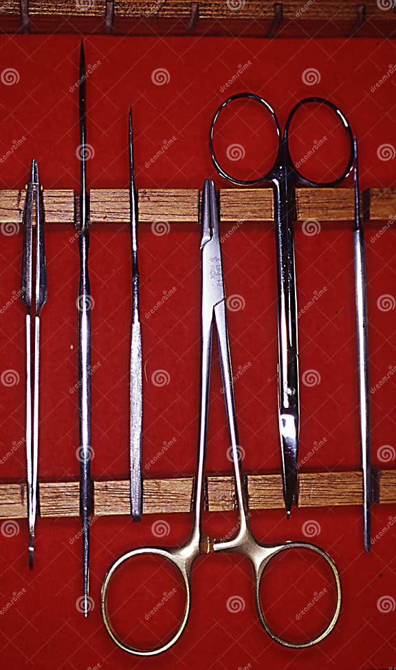 Surgical Instruments in a Storage Box Stock Photo - Image of mirror ...