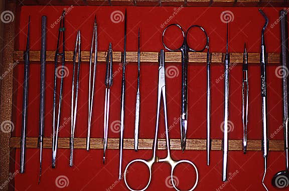 Surgical Instruments in a Storage Box Stock Image - Image of mirror ...