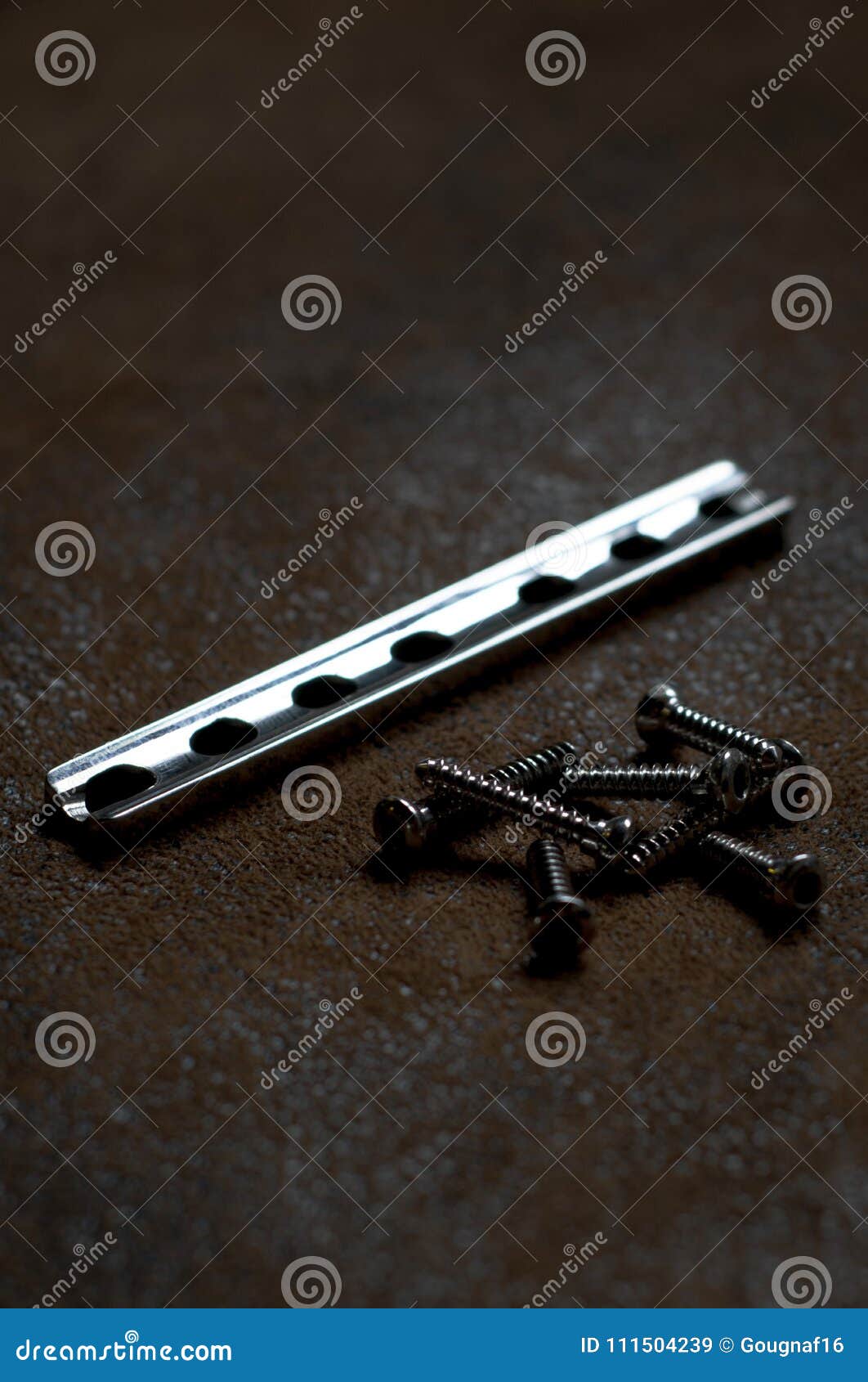 Surgical Plate for Bone Fracture Stock Image - Image of operation ...