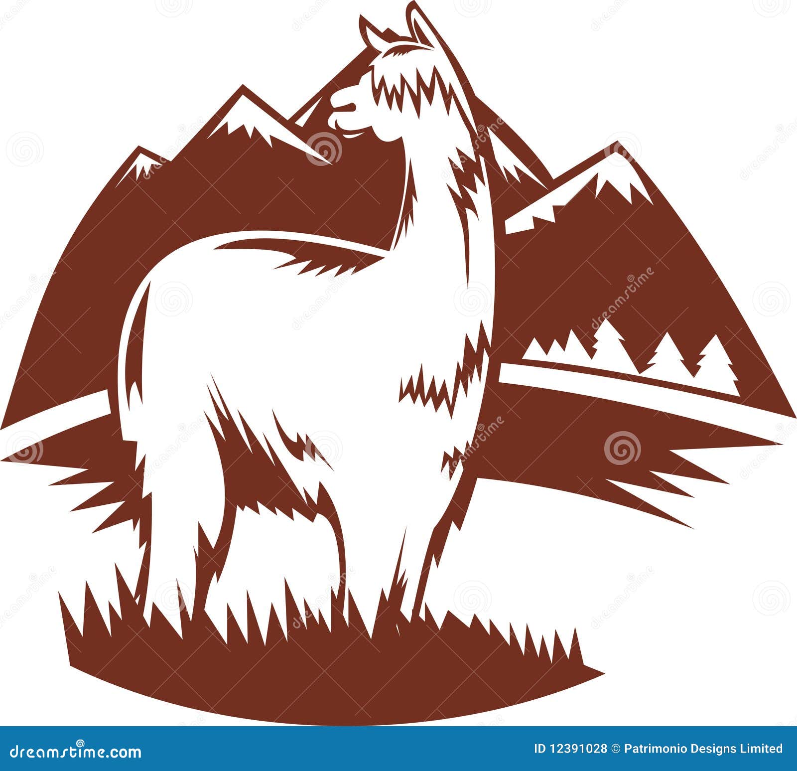 Suri Alpaca Llama with Mountains Stock Vector - Illustration of mammal ...