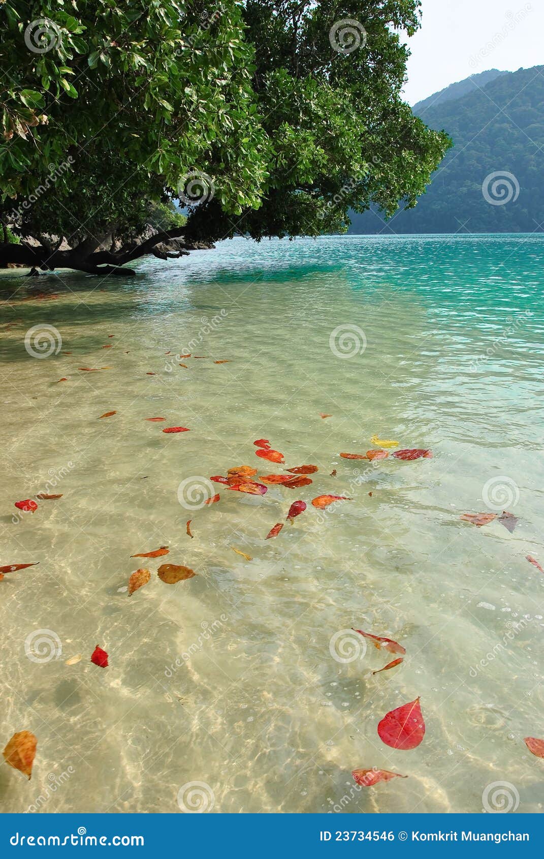 Surin island national park stock photo. Image of coast - 23734546