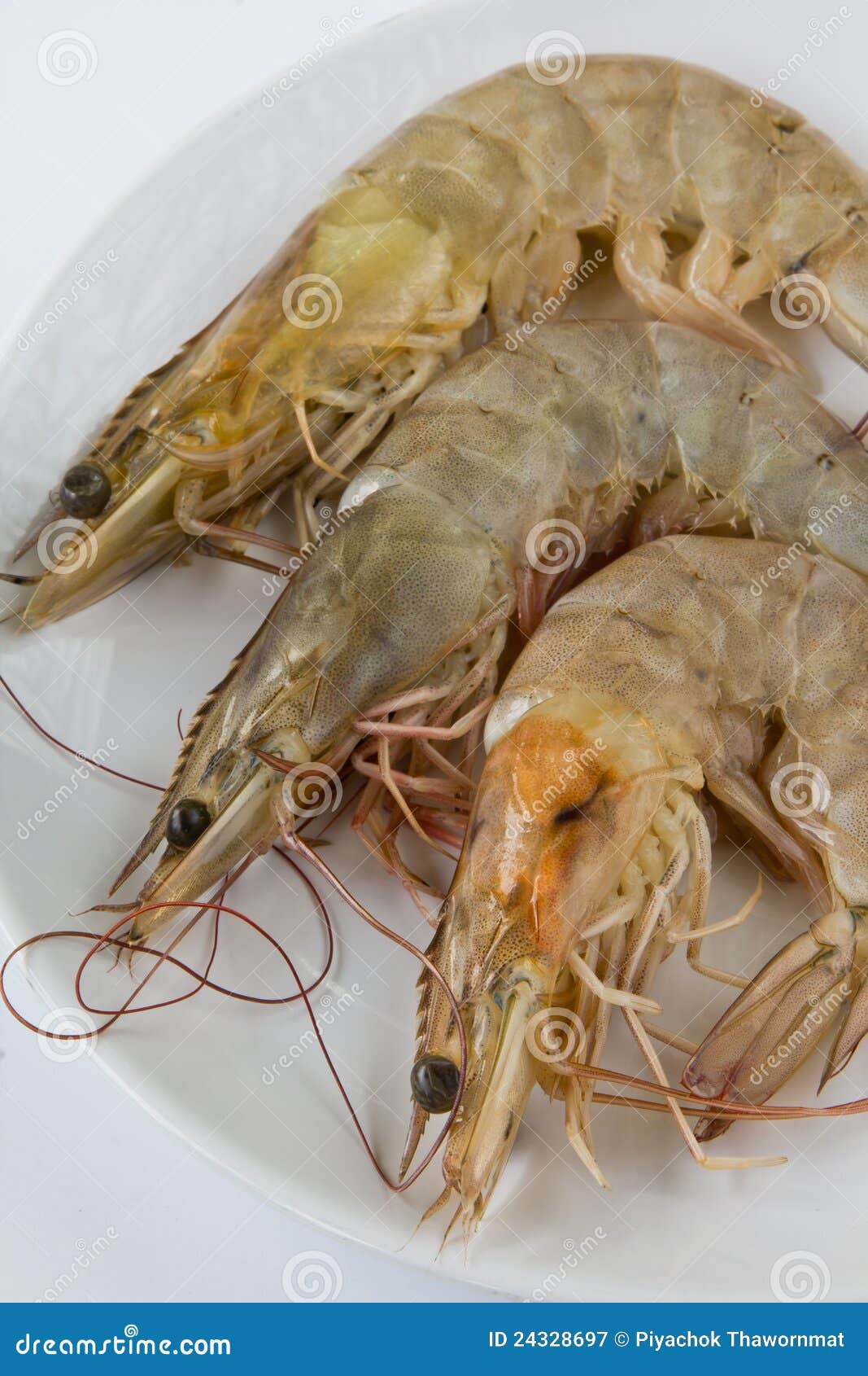 Surowa garnela obraz stock. Obraz złożonej z seafood - 24328697