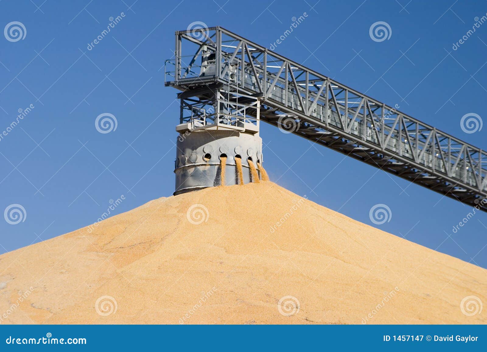 Surplus Corn harvest pile stock image. Image of storage - 1457147