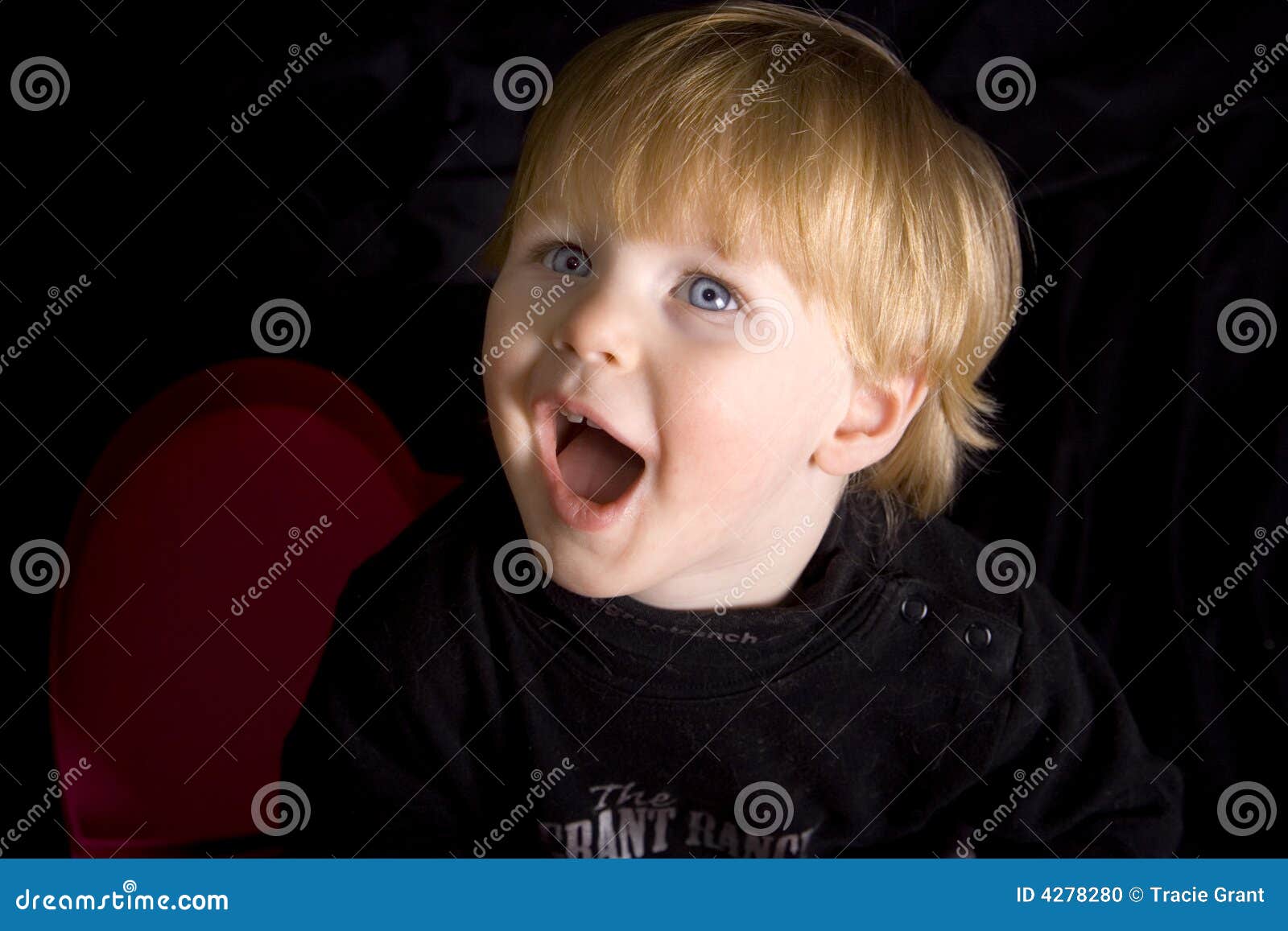 Surprise! stock photo. Image of happiness, surprise, excited - 4278280