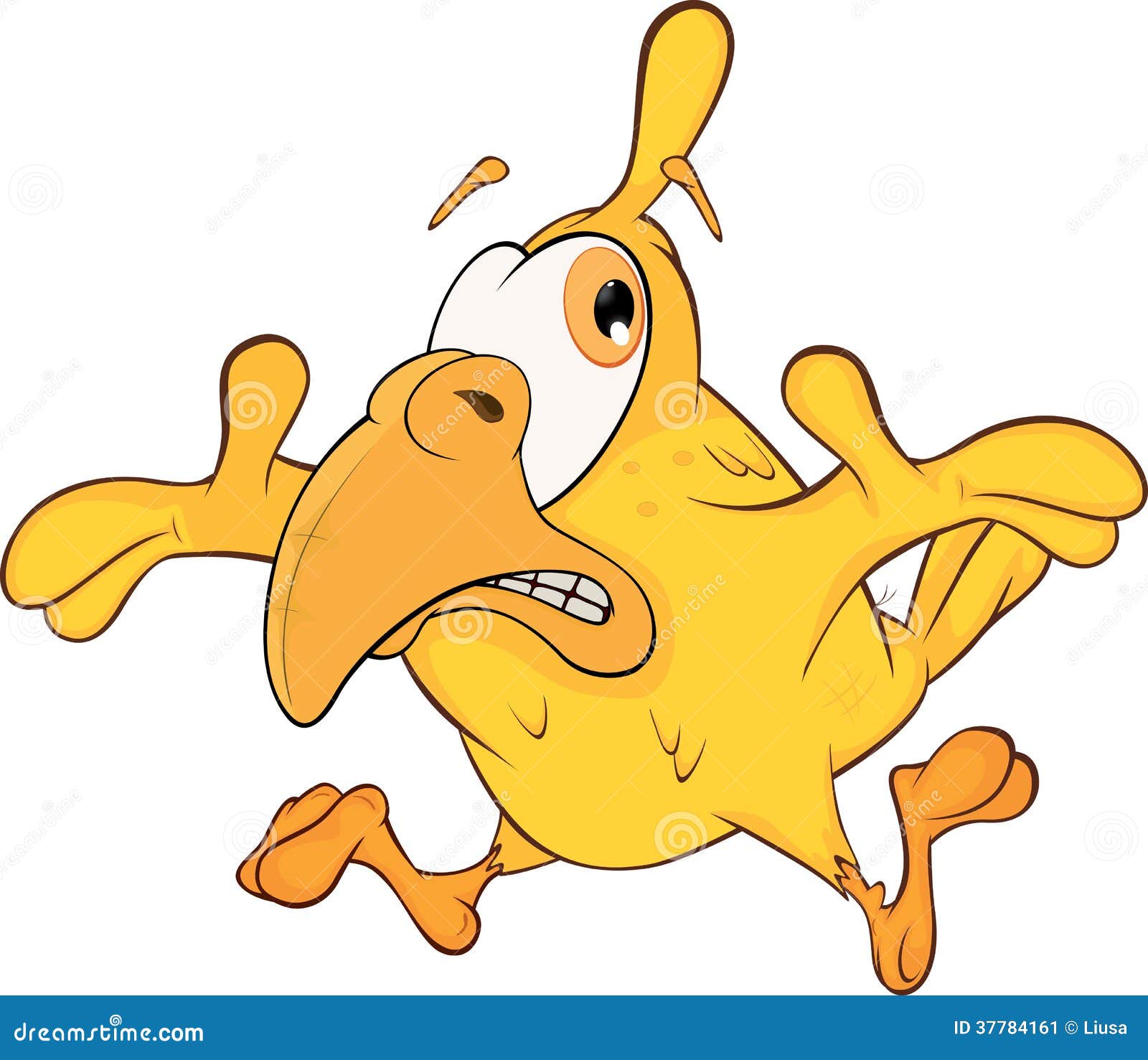 The Surprised Chicken Cartoon Stock Image - Image: 37784161
