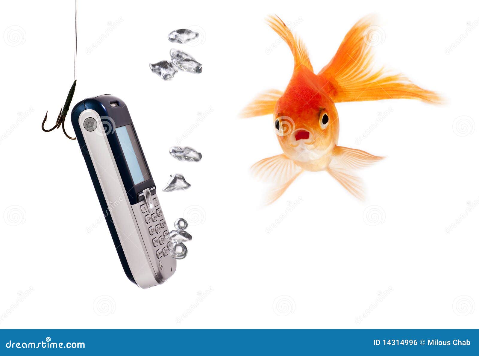Surprised looking fish stock photo. Image of catch, telephone - 14314996