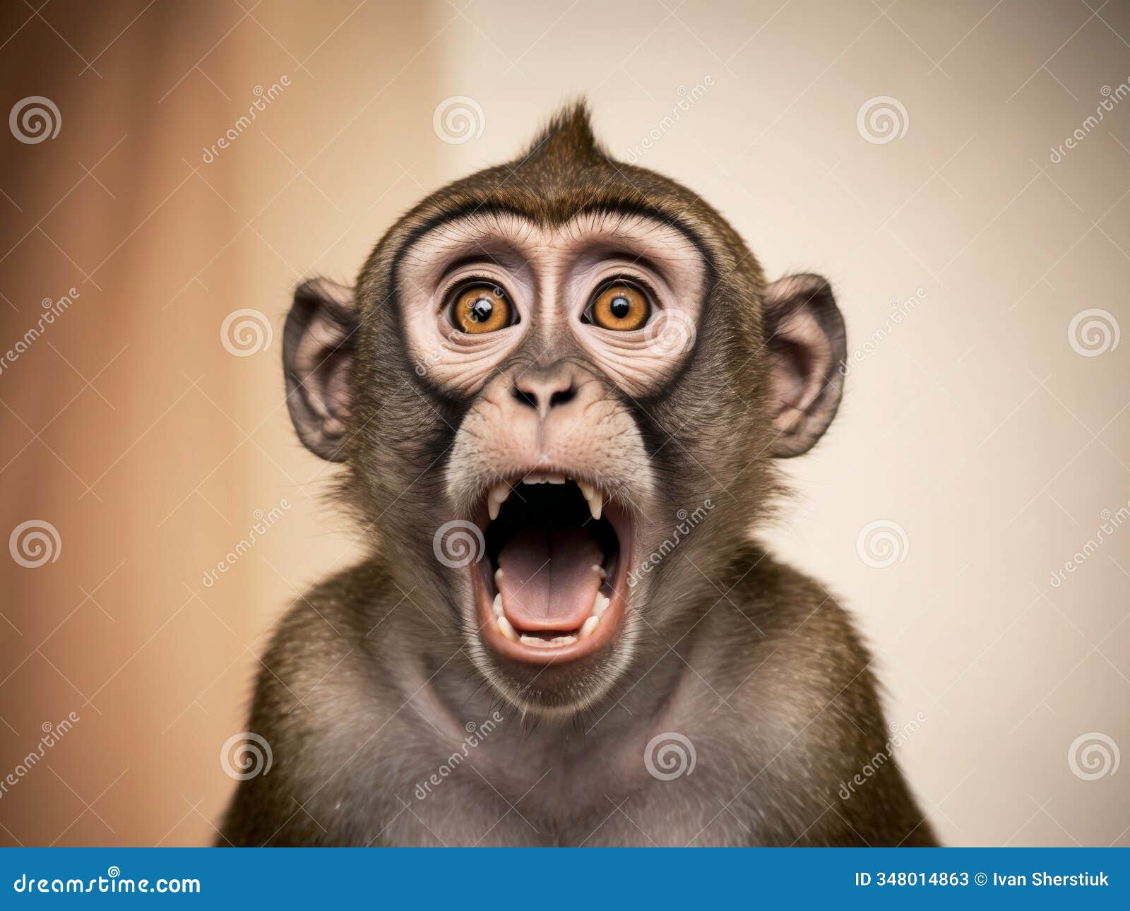 Surprised Monkey with Wide Eyes and Open Mouth. Stock Image - Image of ...