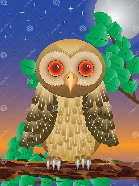 Surprised Owl stock vector. Illustration of time, feathered - 12427442