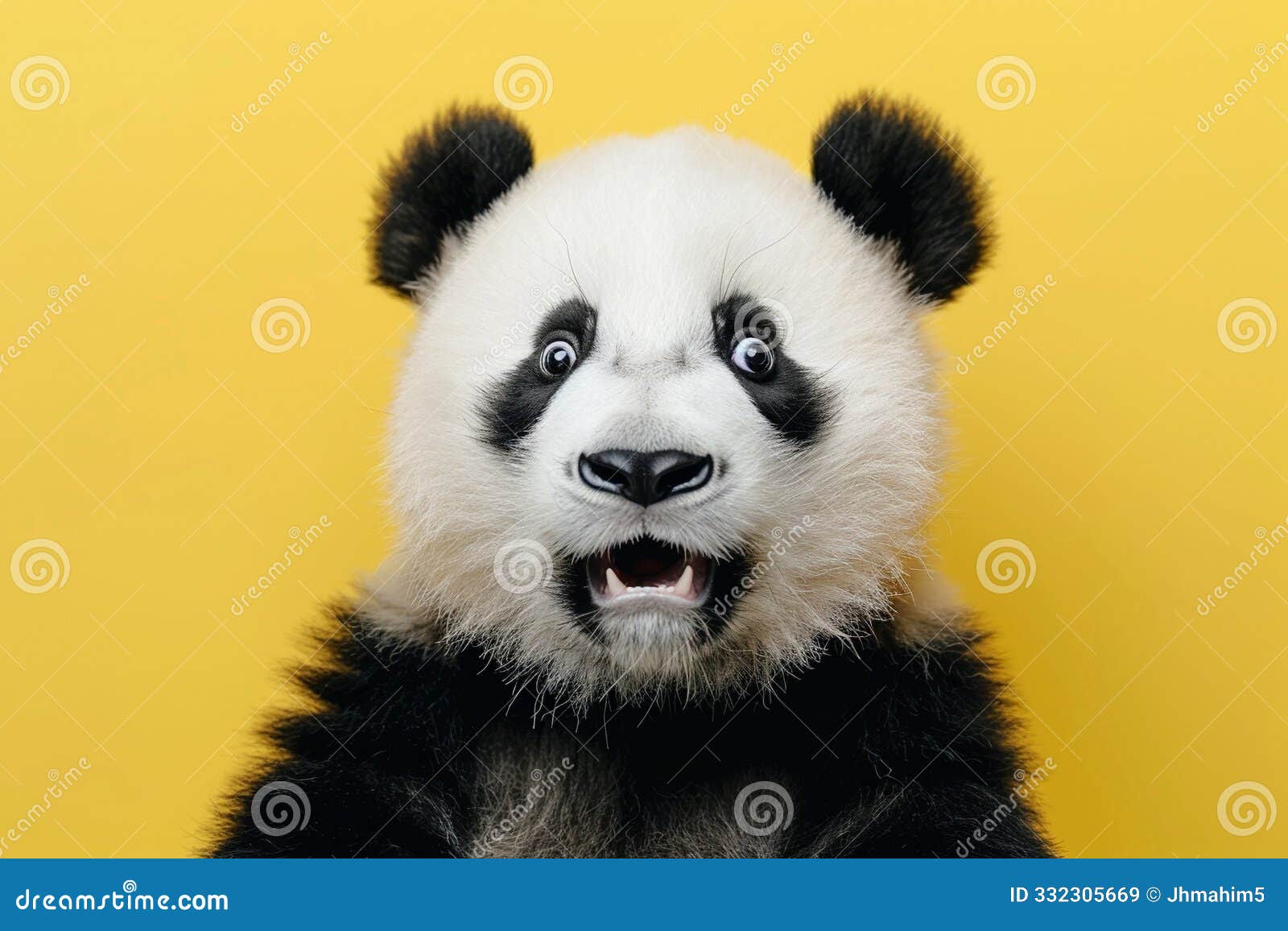 Surprised Panda stock illustration. Illustration of color - 332305669