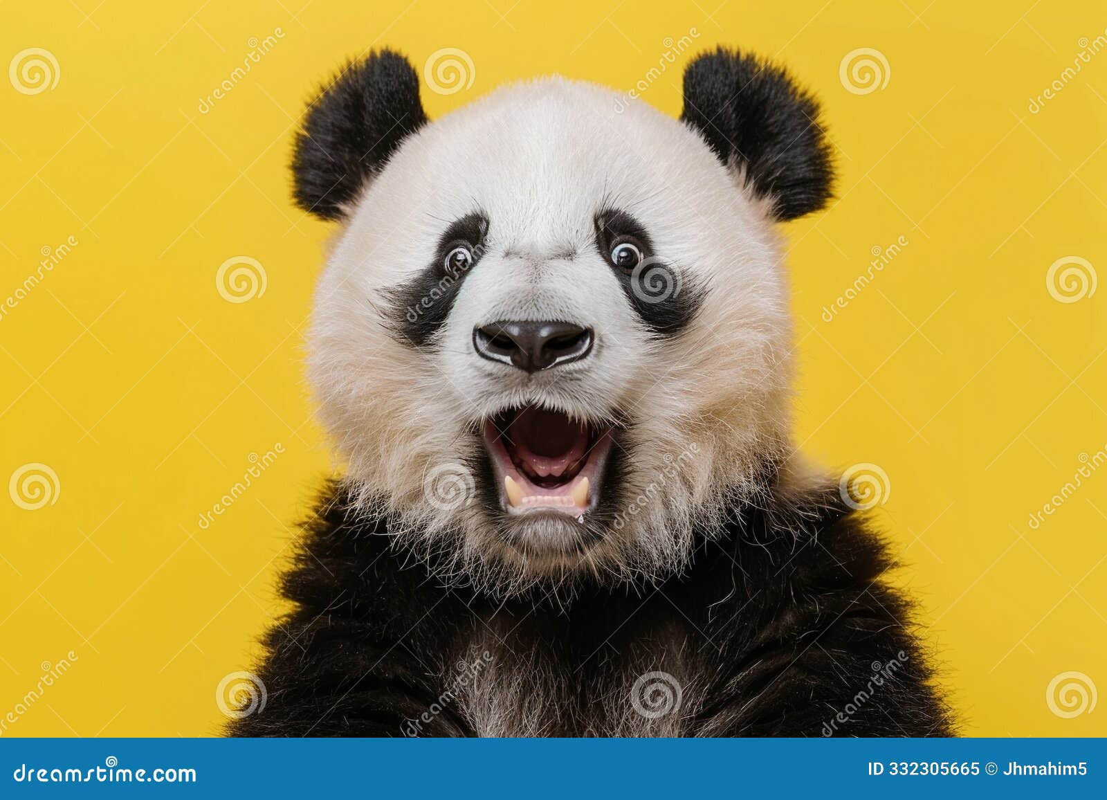 A Surprised Panda stock illustration. Illustration of studioshot ...