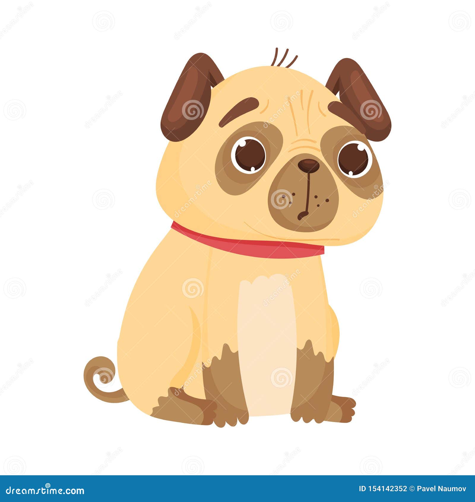 Surprised Pug Sits Vector Illustration On White Background Stock Vector Illustration Of