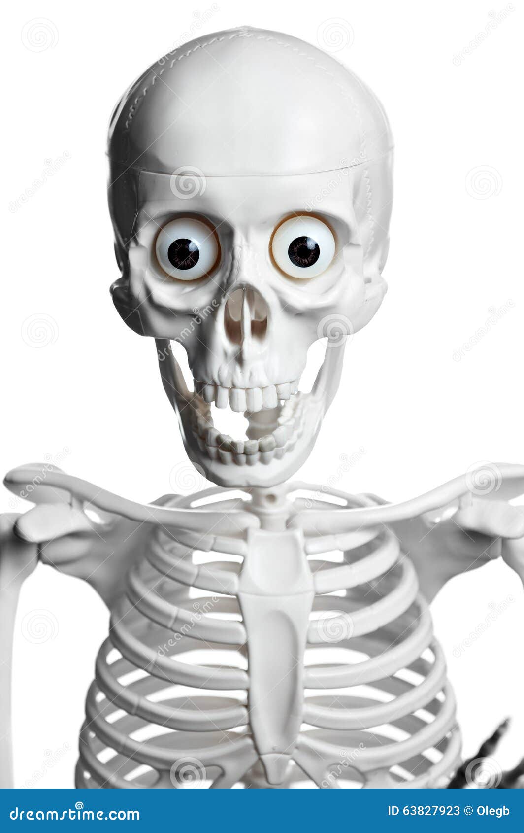 Surprised Skeleton with Open Mouth Stock Image - Image of casual ...