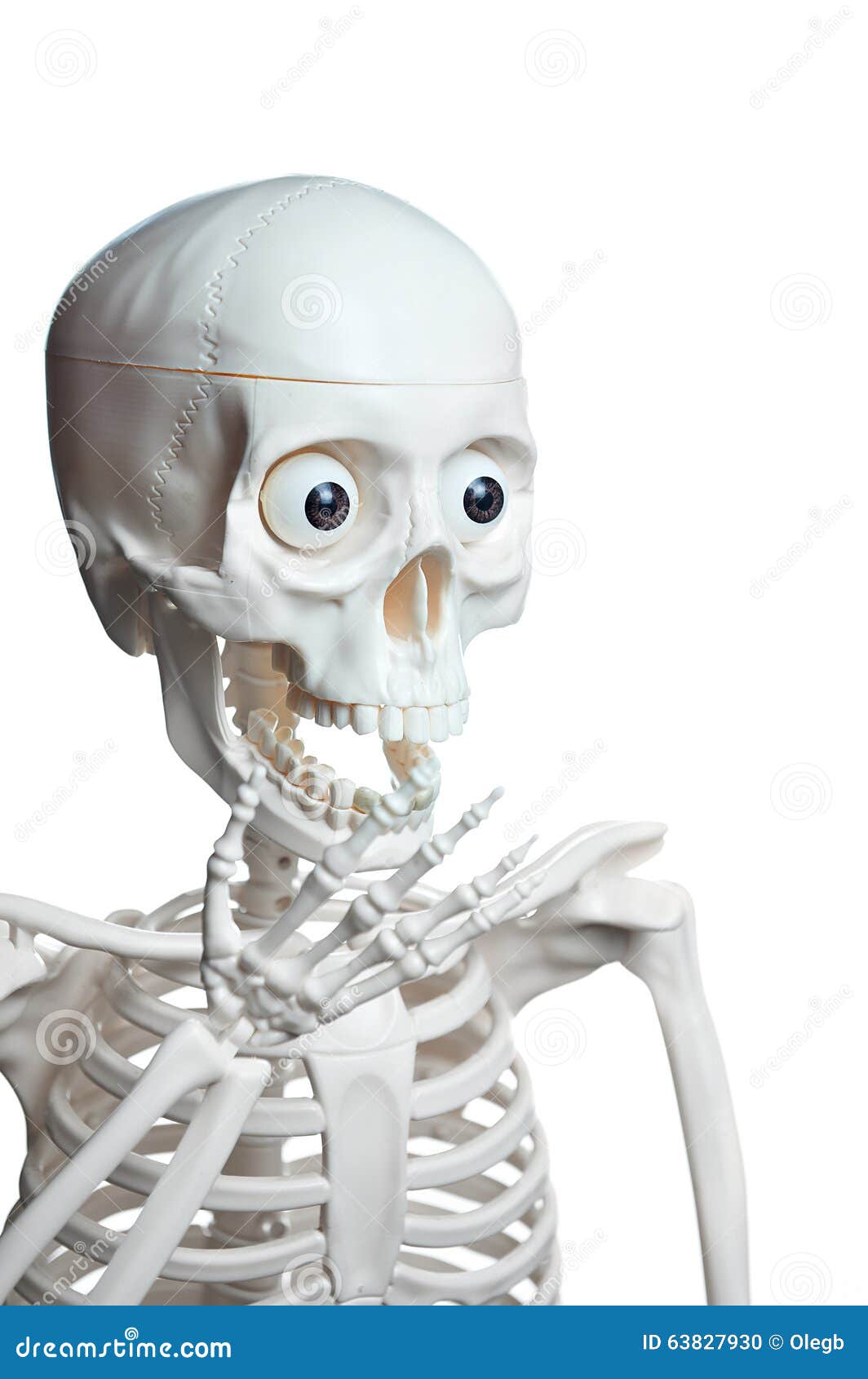 Surprised Skeleton with Open Mouth Stock Photo - Image of skeleton ...