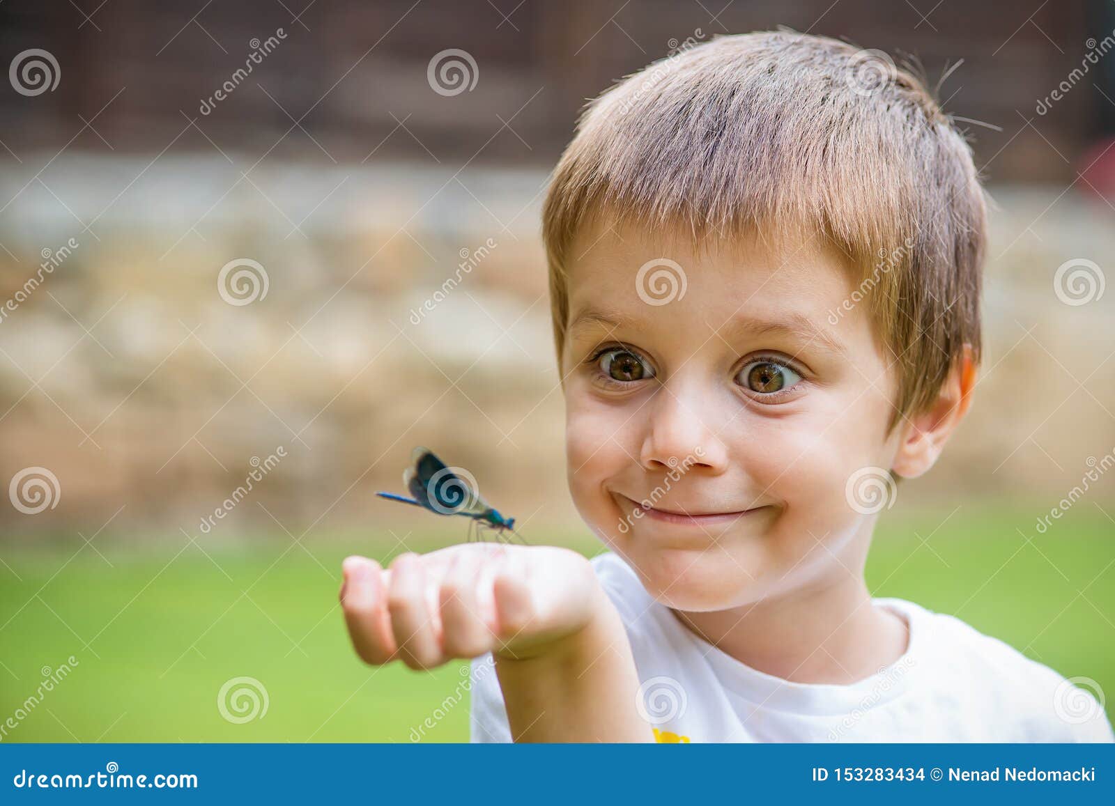 Surprised Young Boy and Dragonfly on His Arm Stock Photo - Image of ...