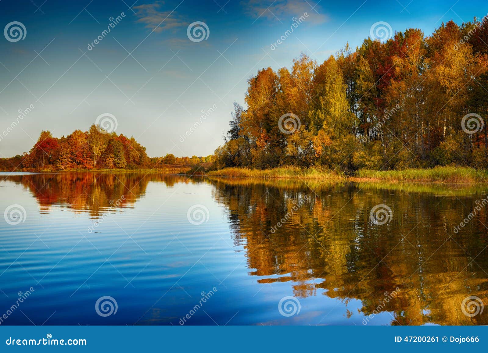 Surreal Autumn of Yellow Trees with Reflection on Lake Stock Image ...