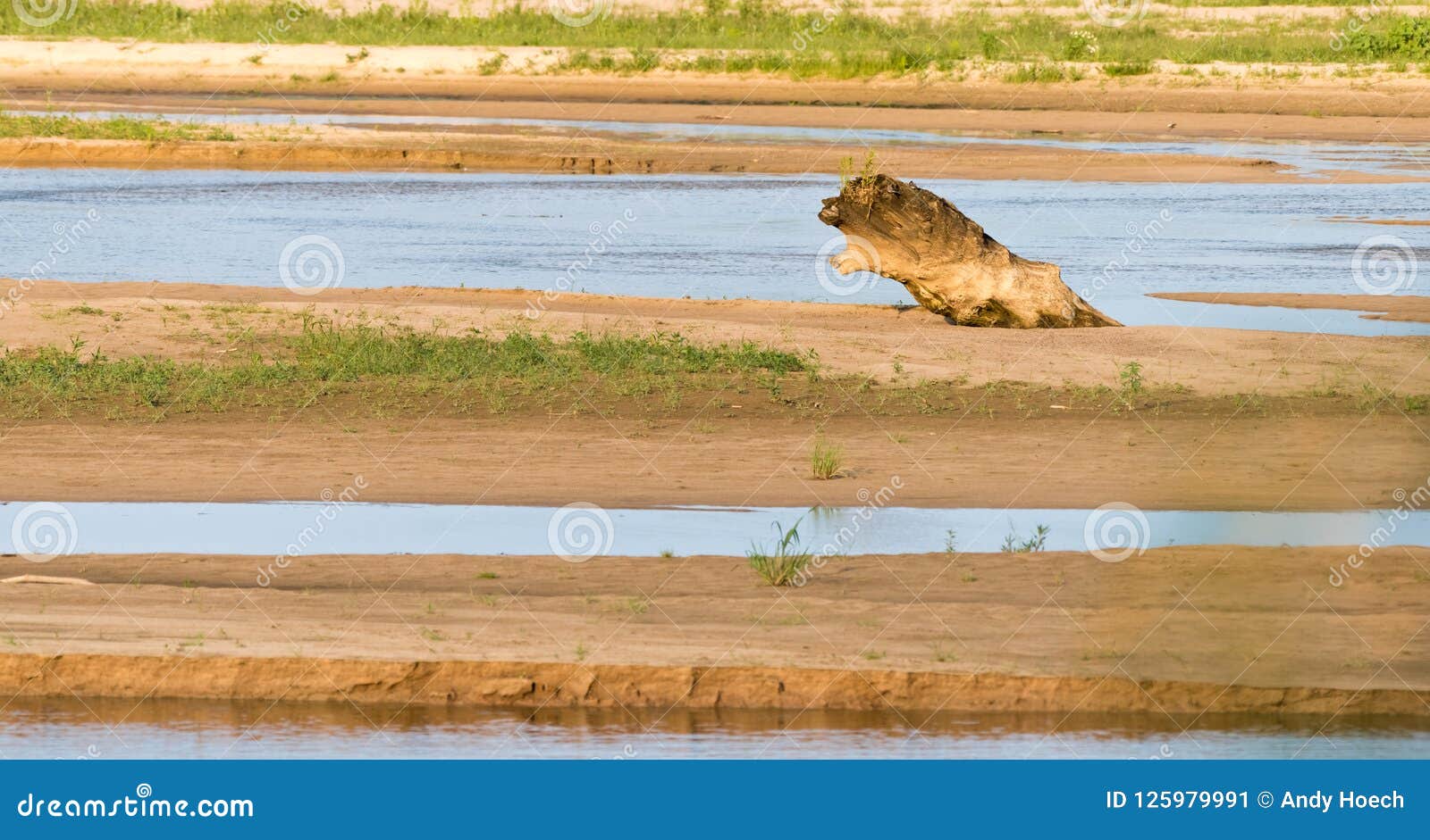 The Surreal Being on the Edge of the River Stock Image - Image of ...